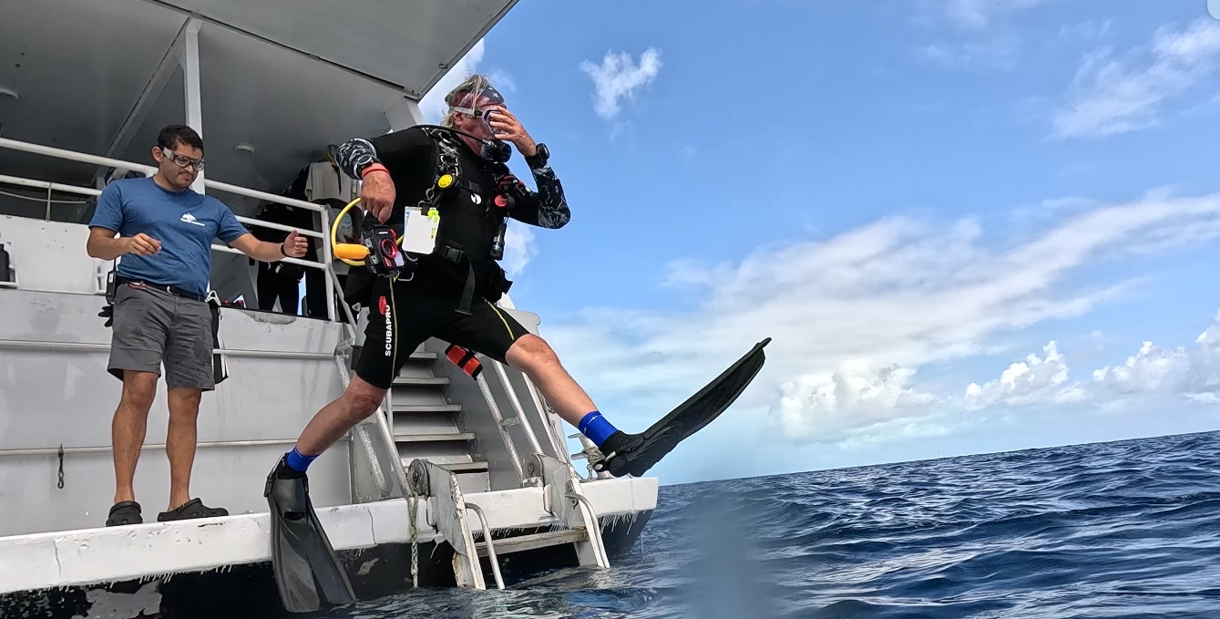 Turks & Caicos Aggressor II | Adventure Logs