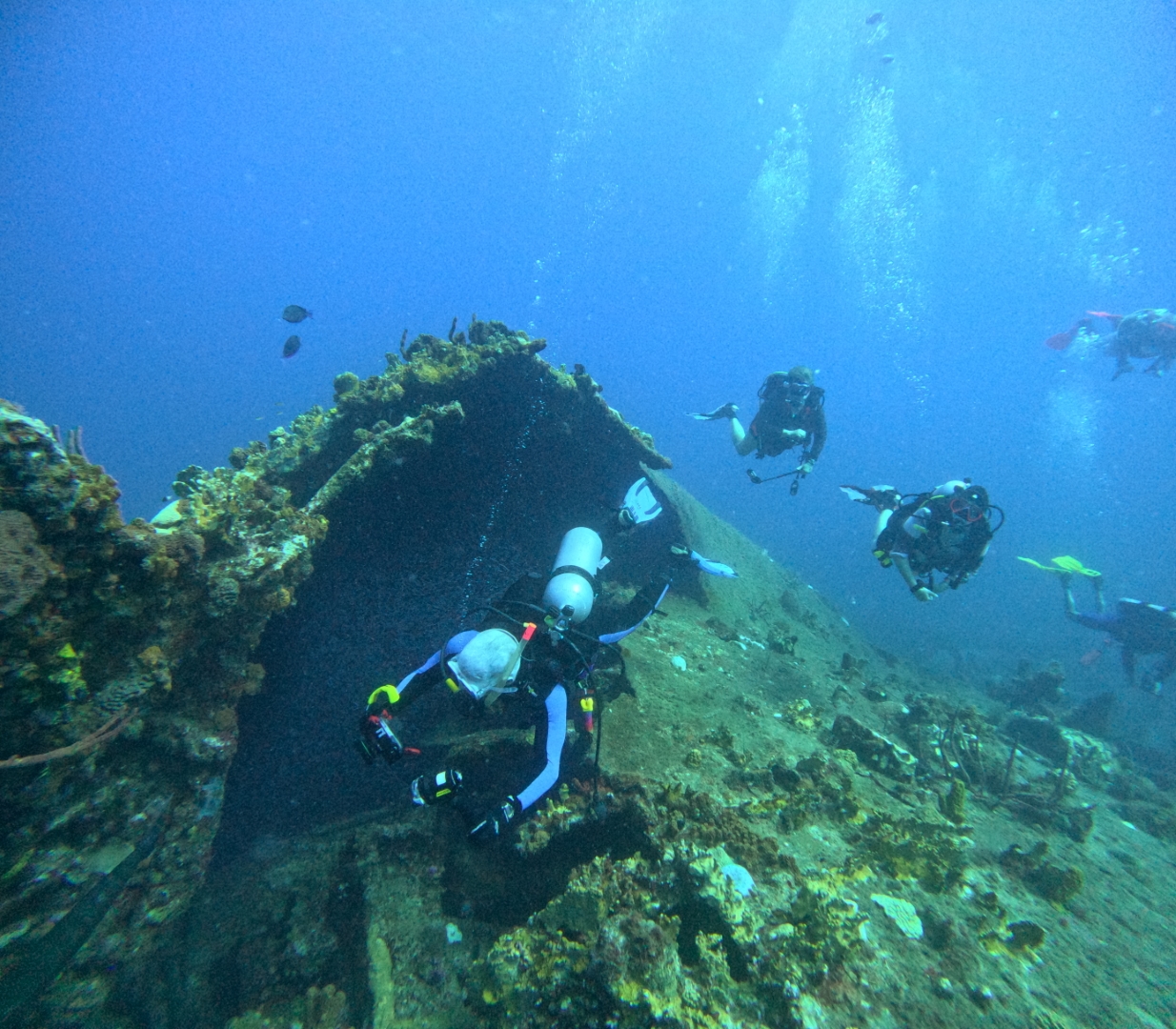 BVI Aggressor | Adventure Logs