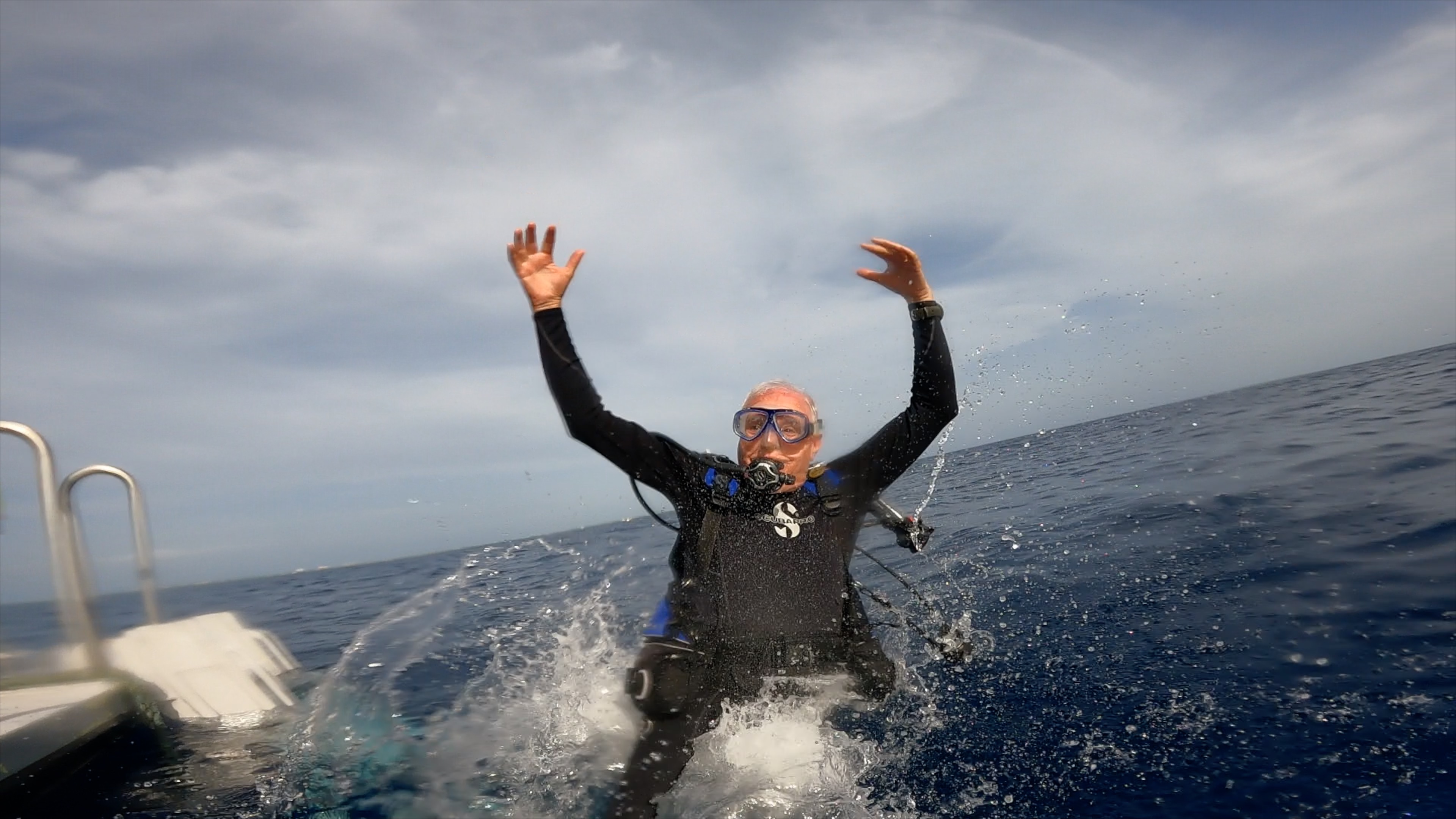 Cayman Aggressor IV | Adventure Logs