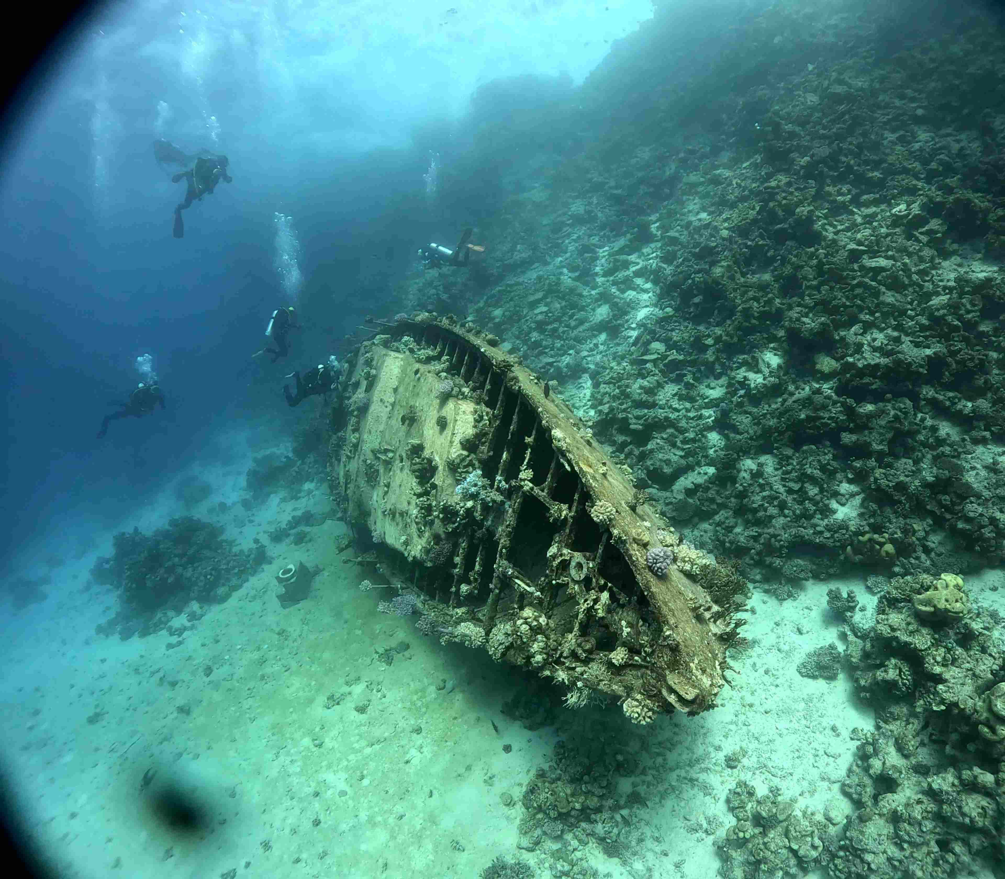 Red Sea Aggressor V | Adventure Logs