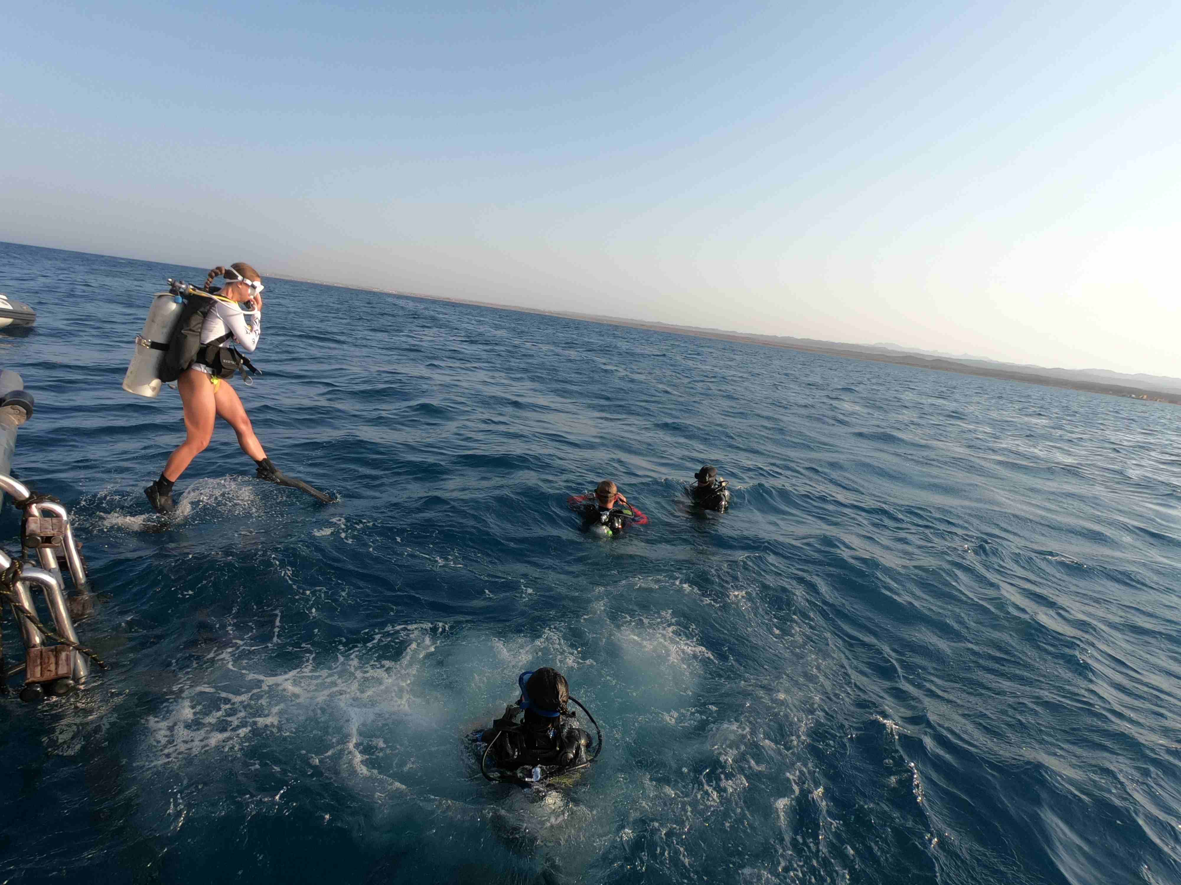 Red Sea Aggressor IV | Adventure Logs