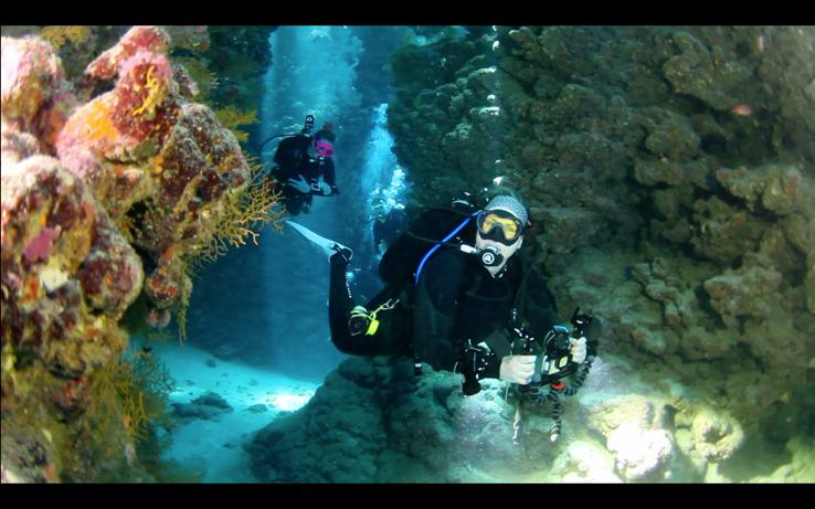 Red Sea Aggressor II | Adventure Logs