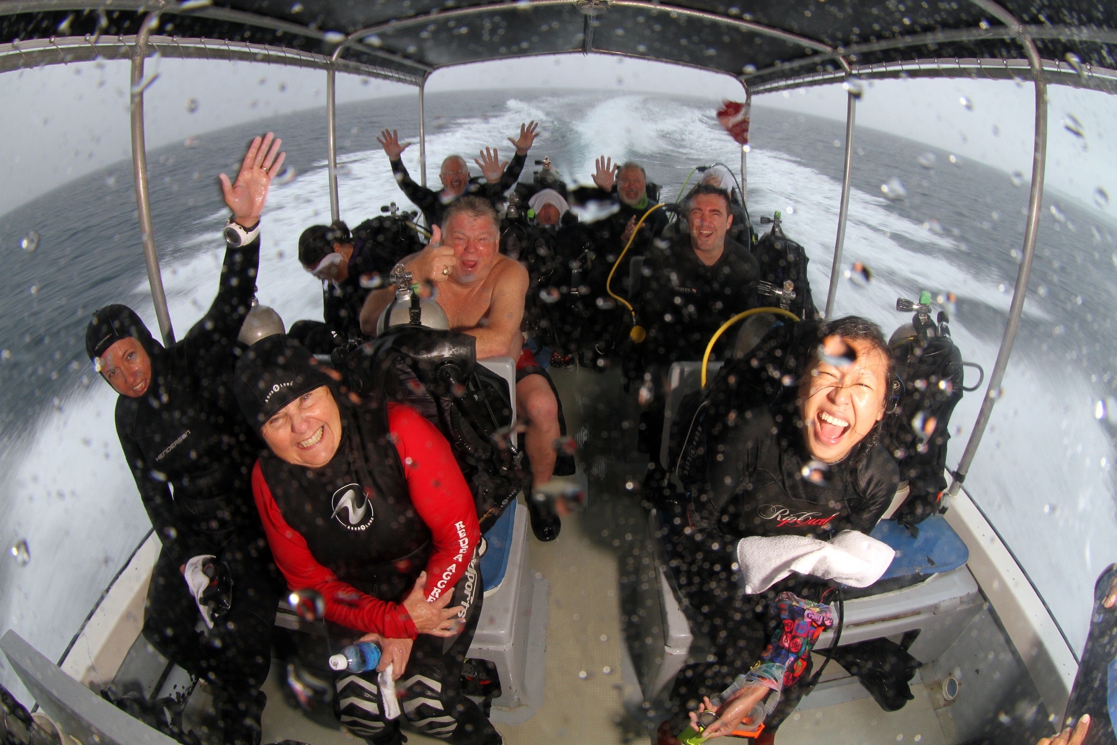 Rock Islands Aggressor | Adventure Logs