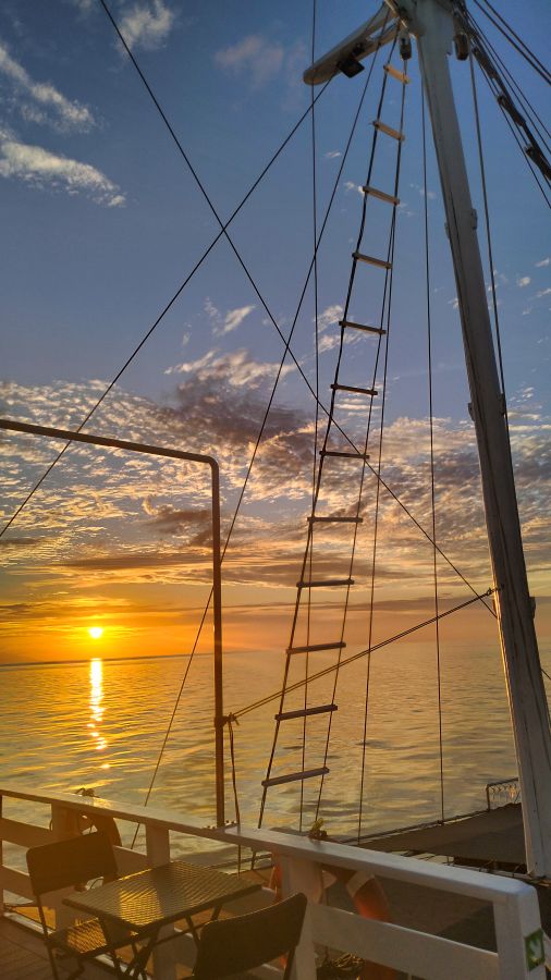 Komodo Aggressor | Adventure Logs