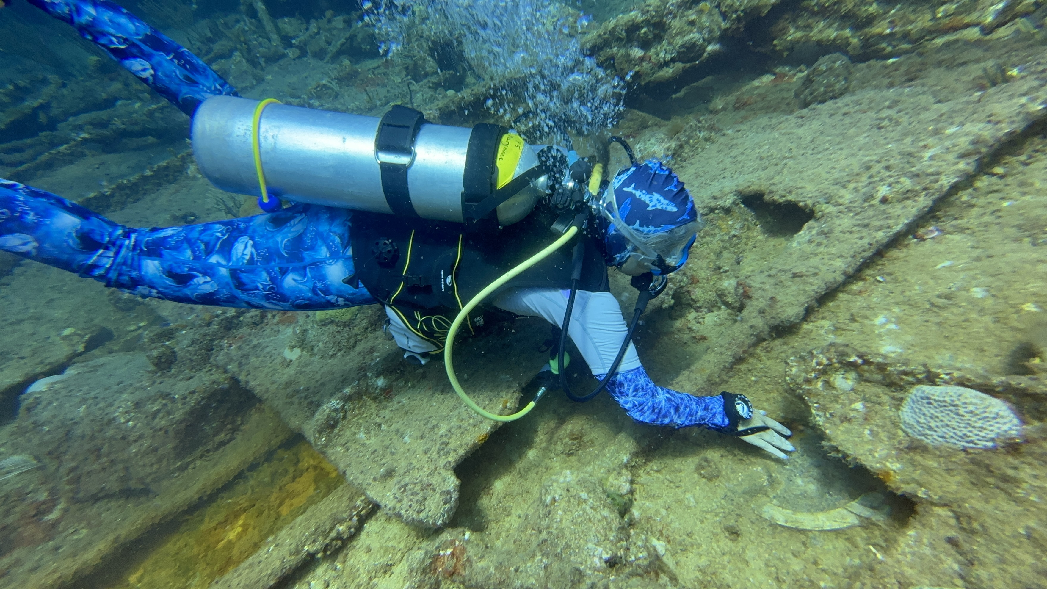 BVI Aggressor | Adventure Logs