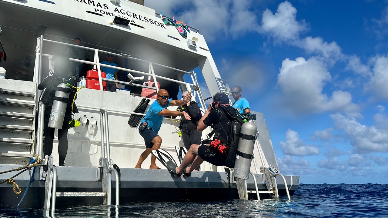 Bahamas Aggressor I | Adventure Logs