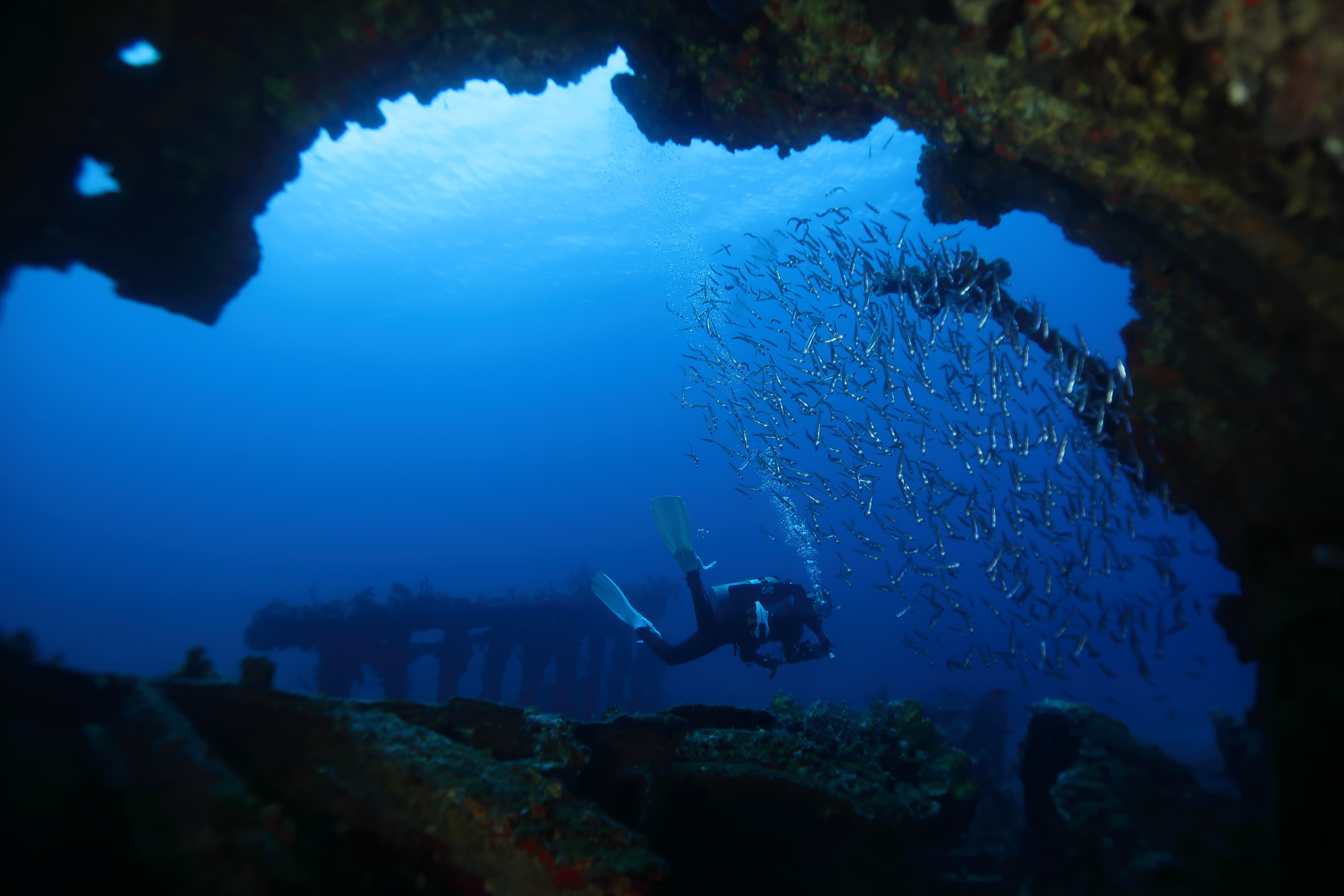 BVI Aggressor | Adventure Logs