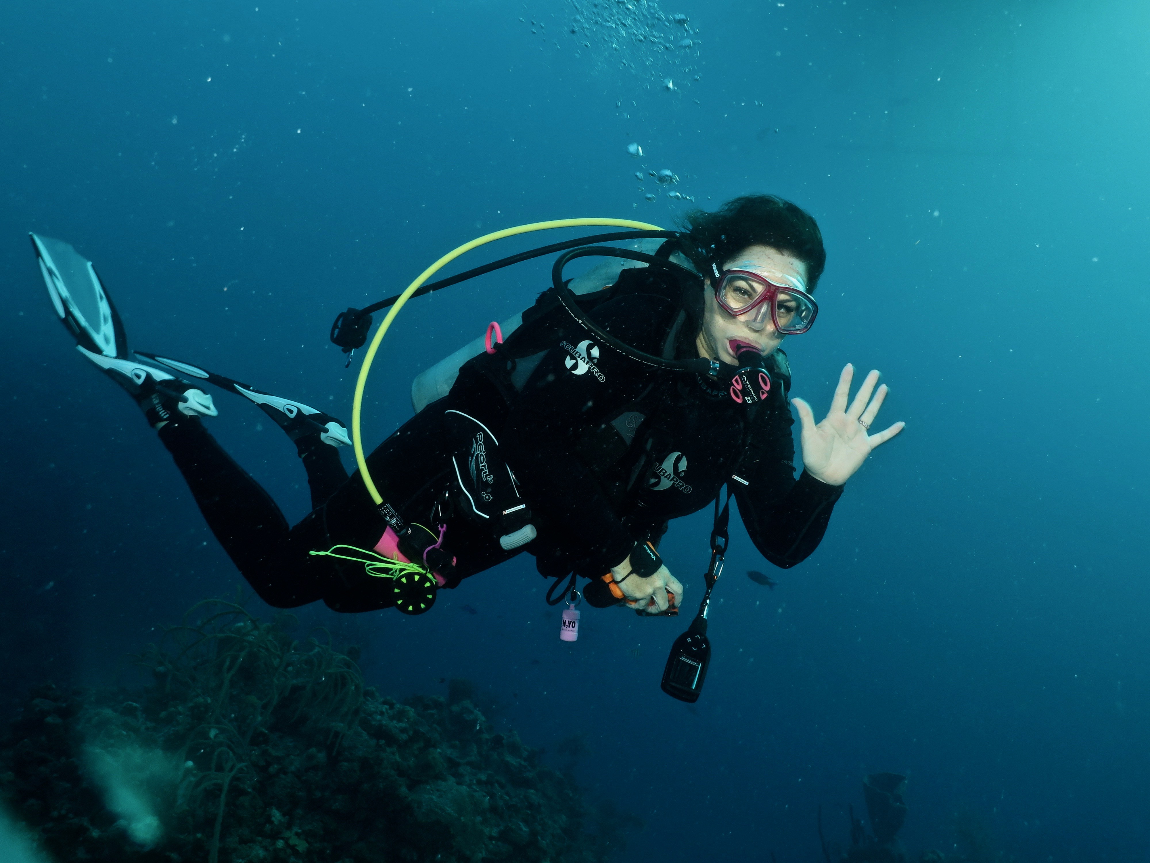 Belize Aggressor IV | Adventure Logs