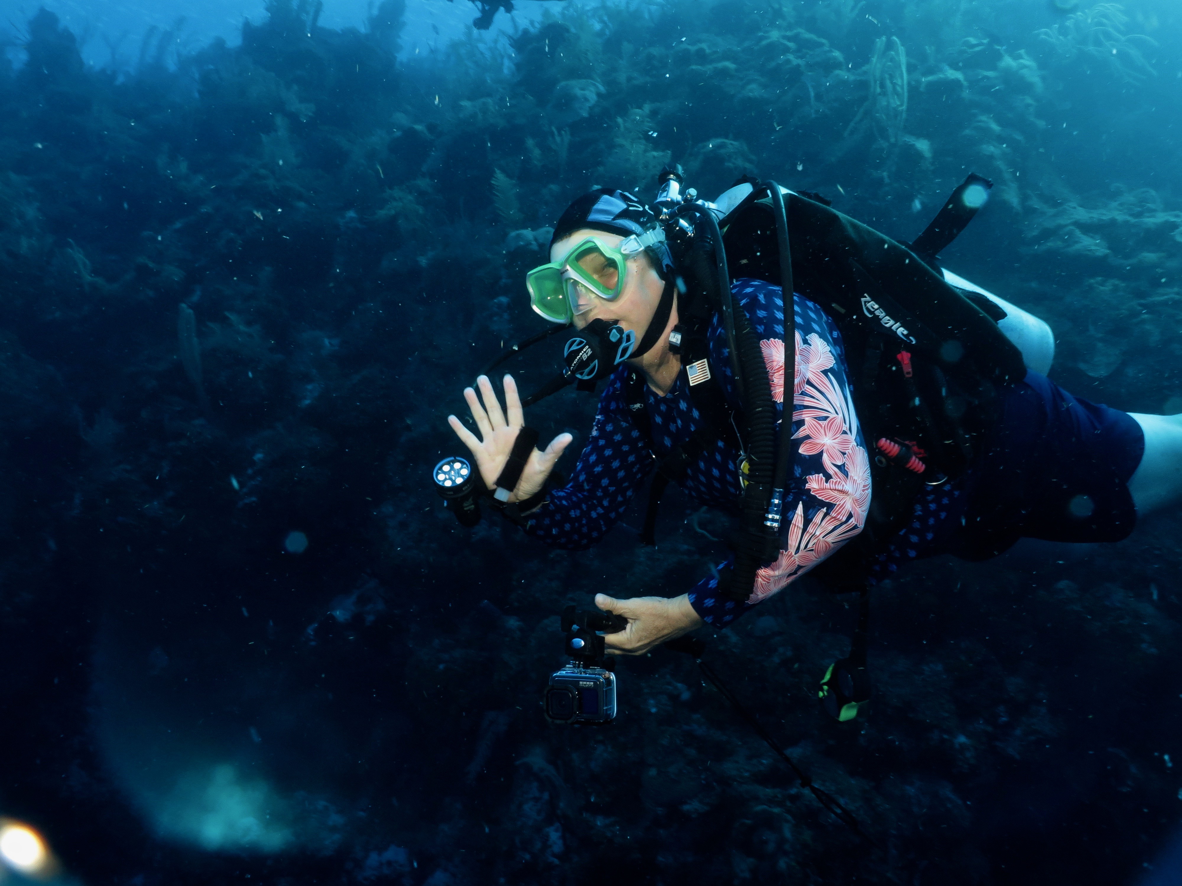 Belize Aggressor IV | Adventure Logs