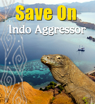 Specials and Unique Adventures | Aggressor Adventures™