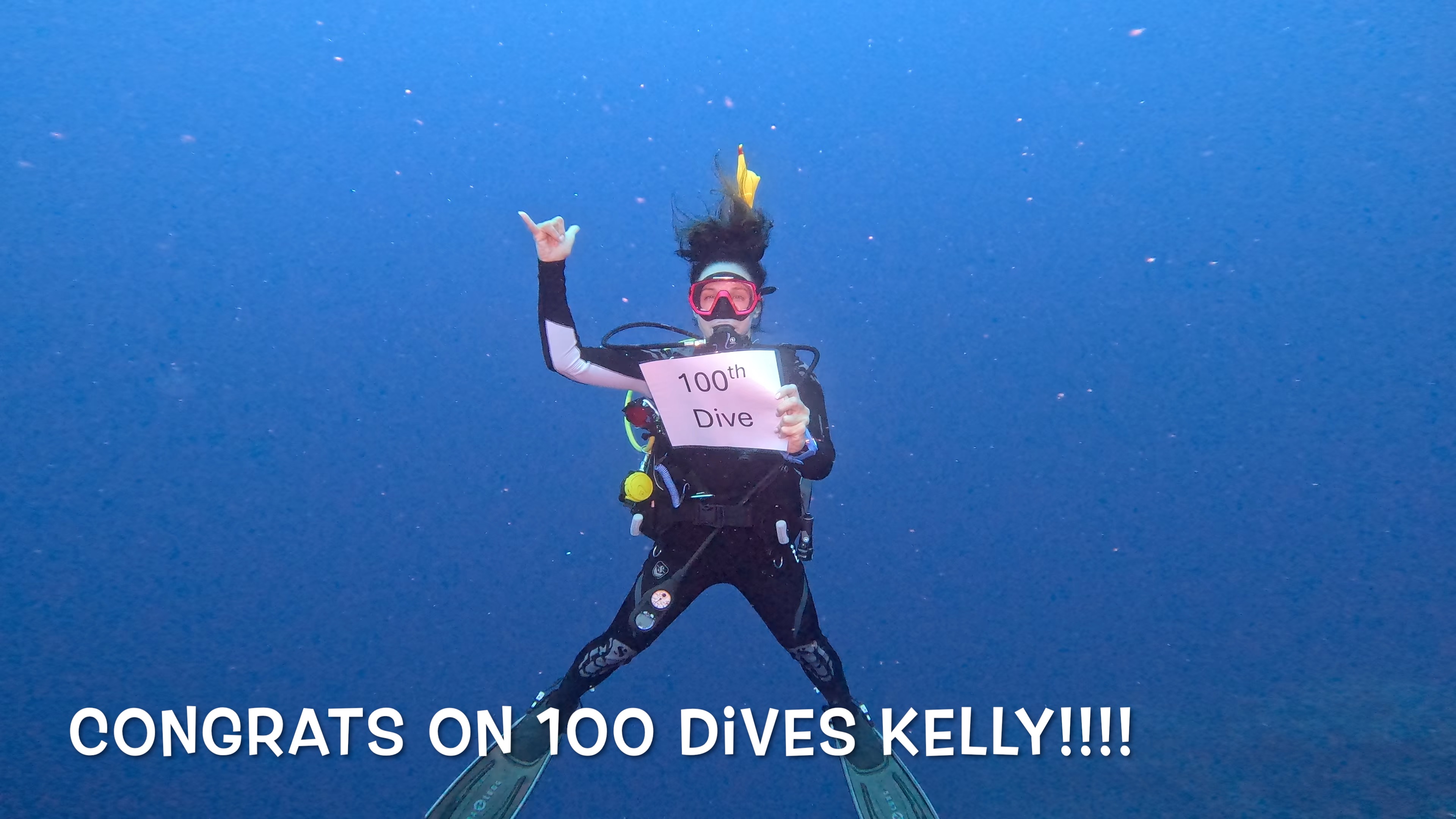 Cayman Aggressor IV | Adventure Logs