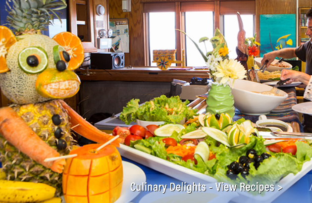 Aggressor Adventures® | Aggressor® Liveaboards, Safaris & River Cruises