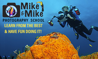 Specials and Unique Adventures | Aggressor Adventures™