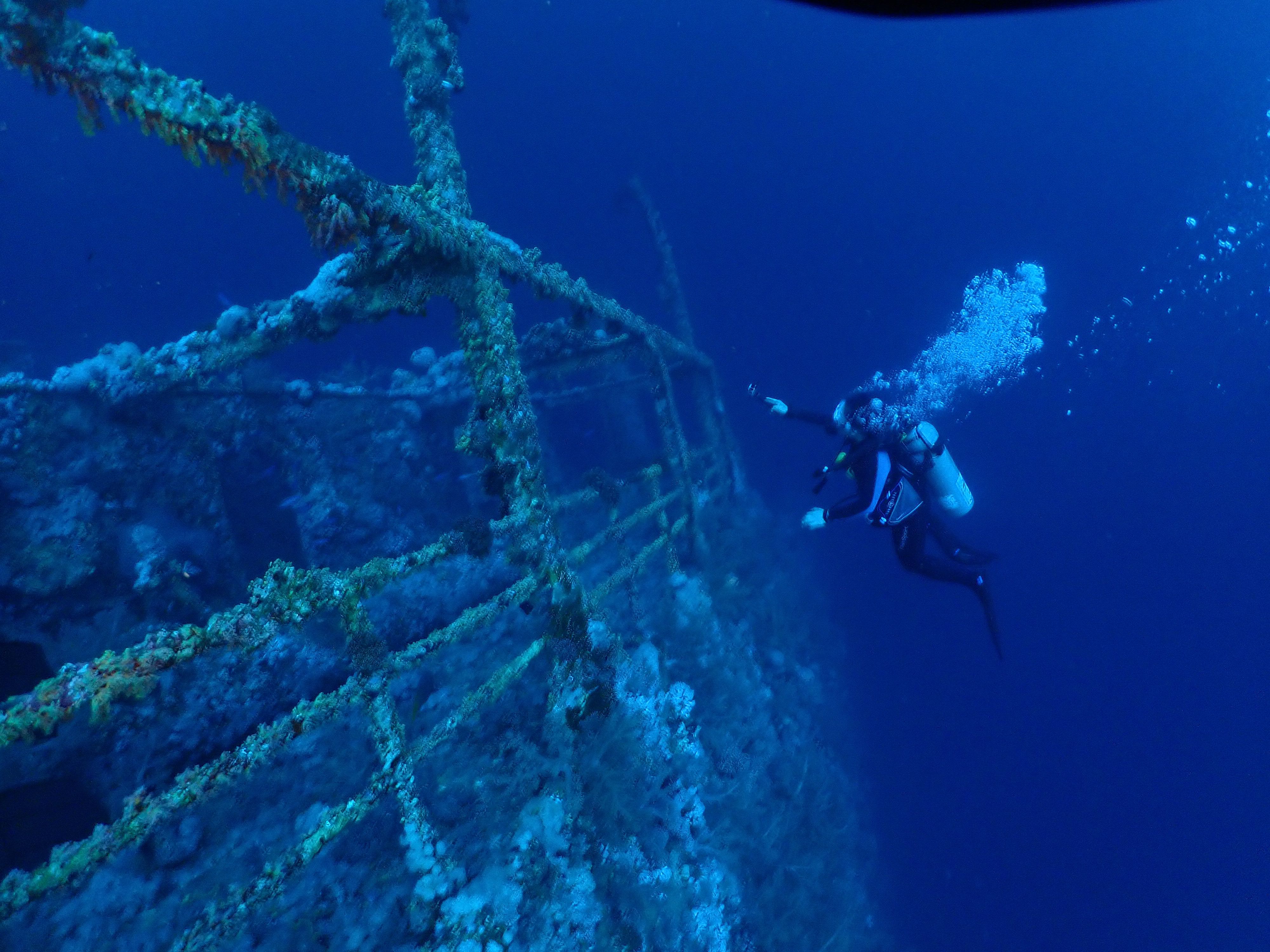 Red Sea Aggressor IV | Adventure Logs