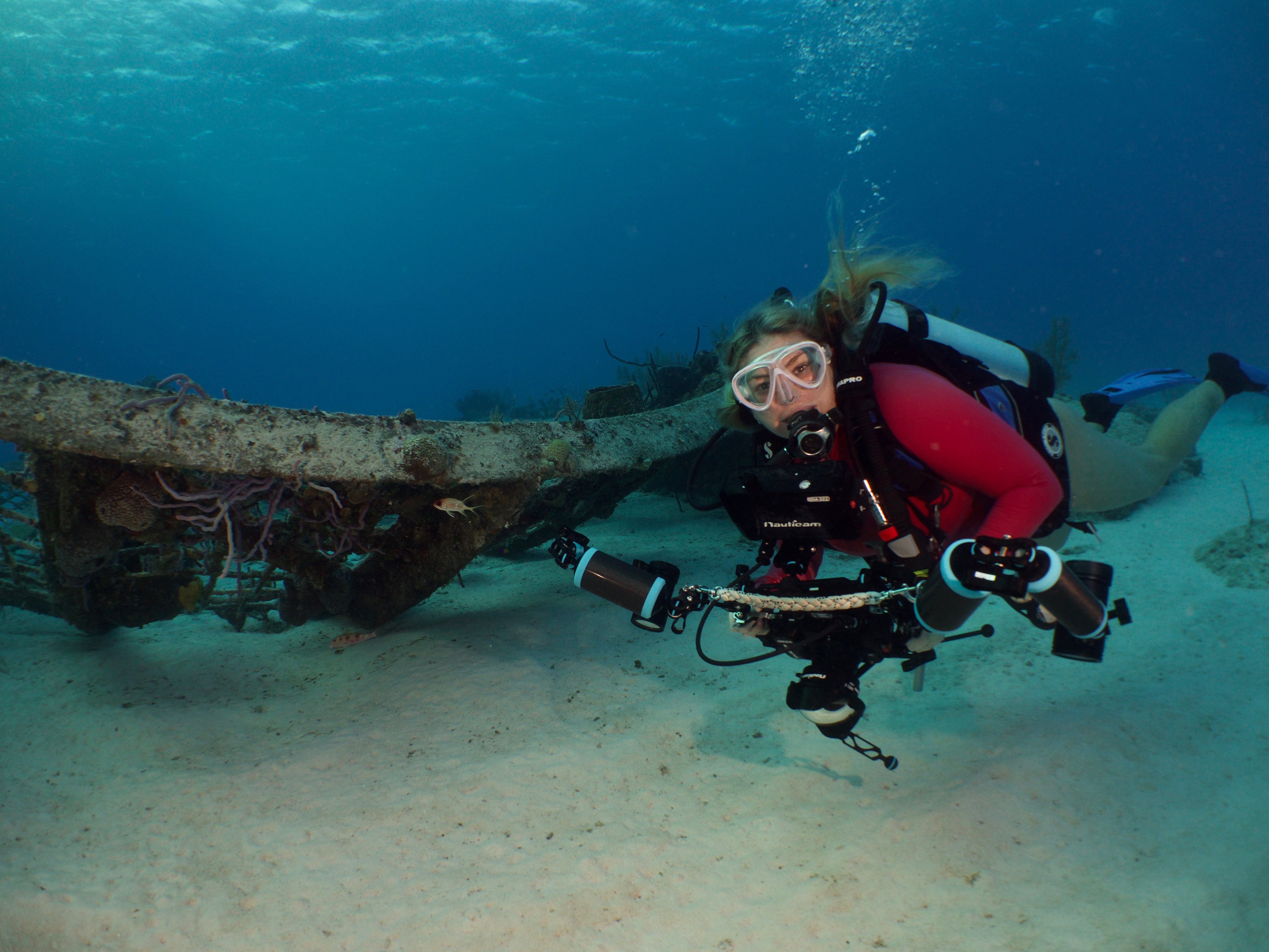 Turks & Caicos Aggressor II | Adventure Logs