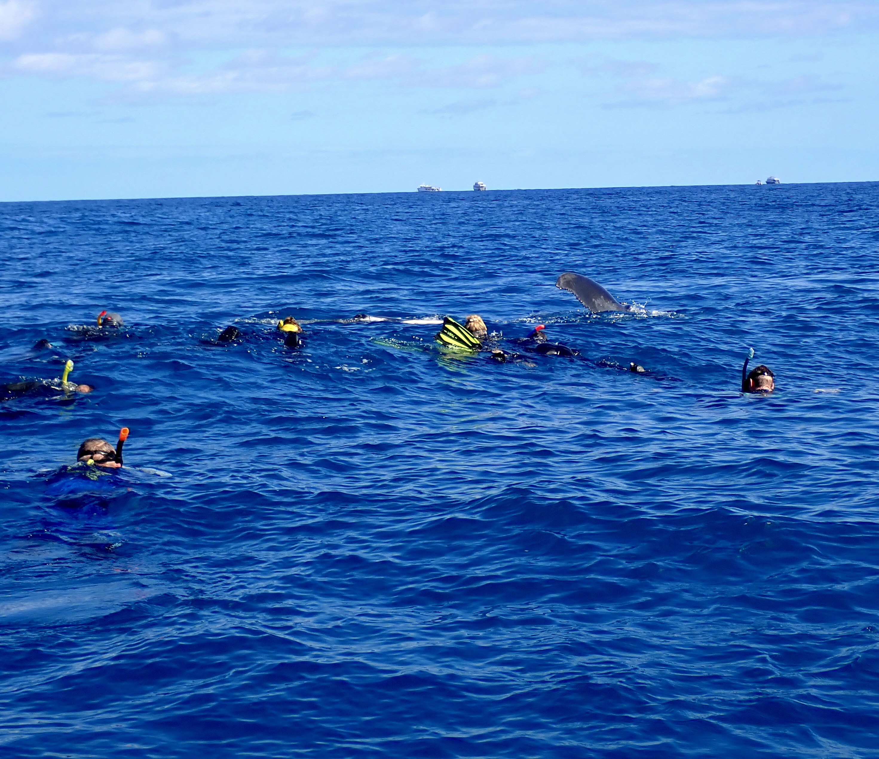 Turks & Caicos Aggressor II | Adventure Logs