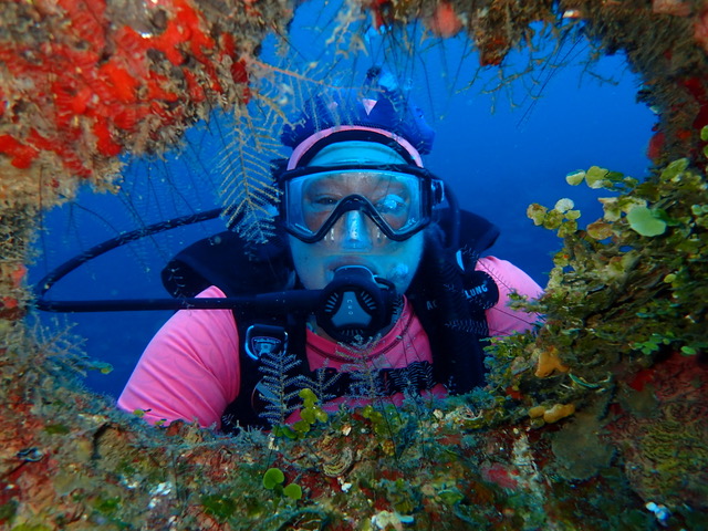 Roatan Aggressor | Adventure Logs