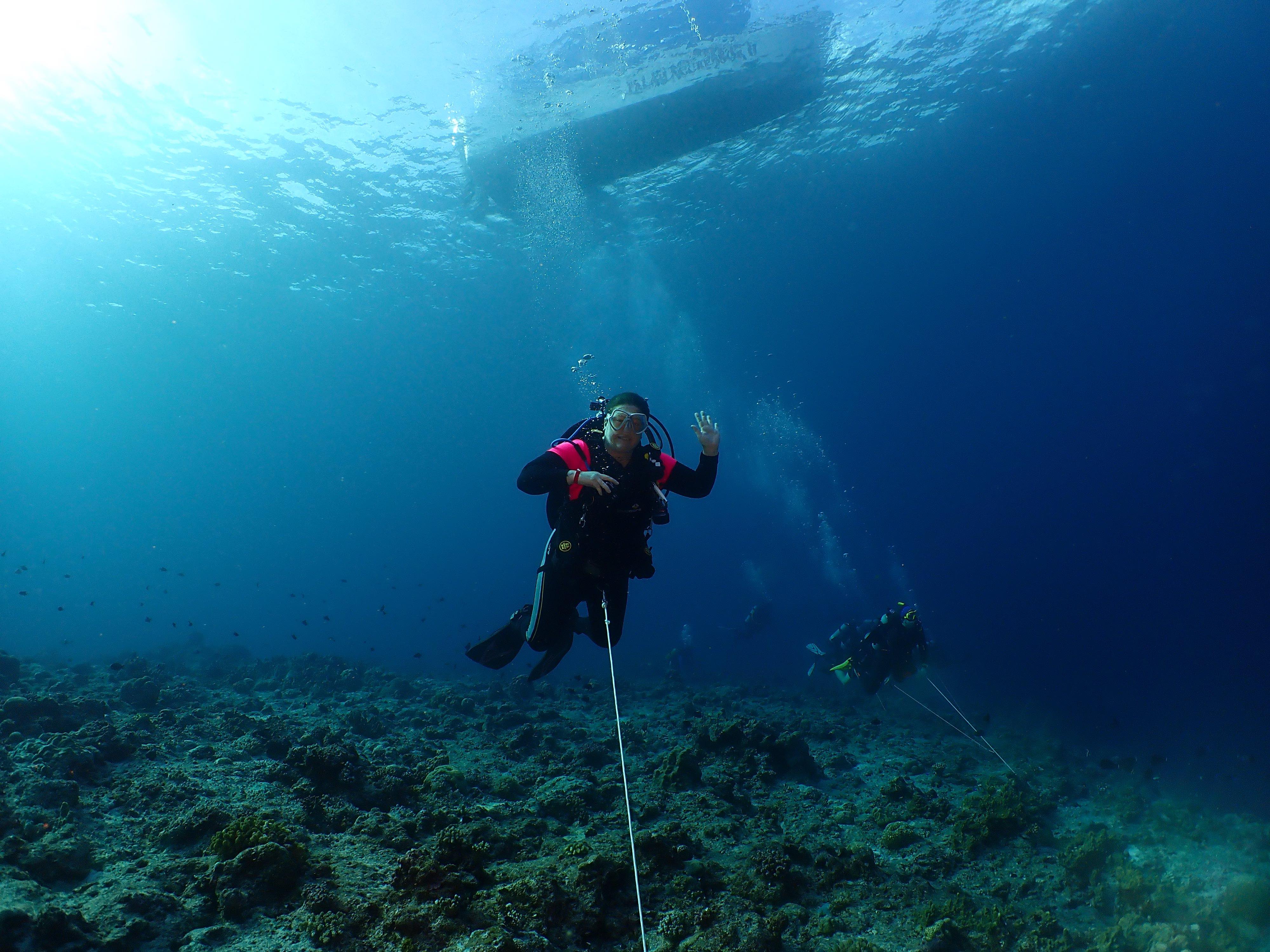 Palau Aggressor II | Adventure Logs