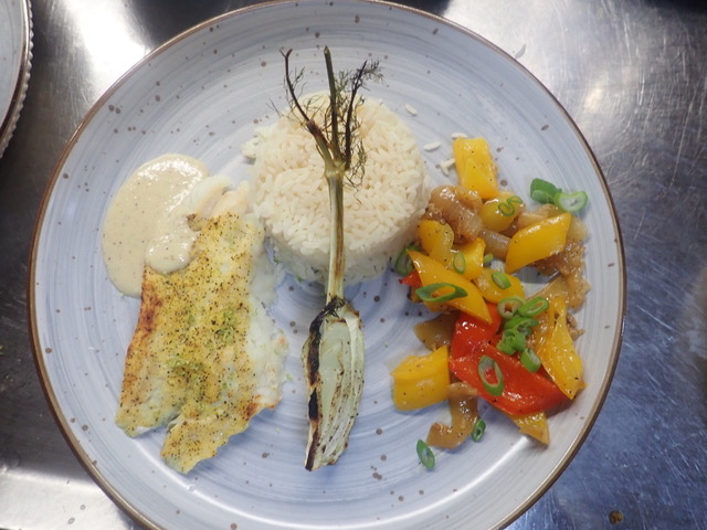 Turks & Caicos Aggressor II Dominican Republic (Snorkeling Only ...