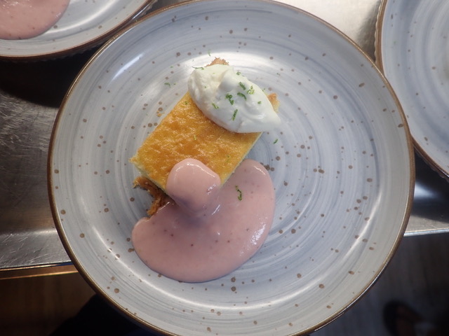 Turks & Caicos Aggressor II Dominican Republic (Snorkeling Only ...