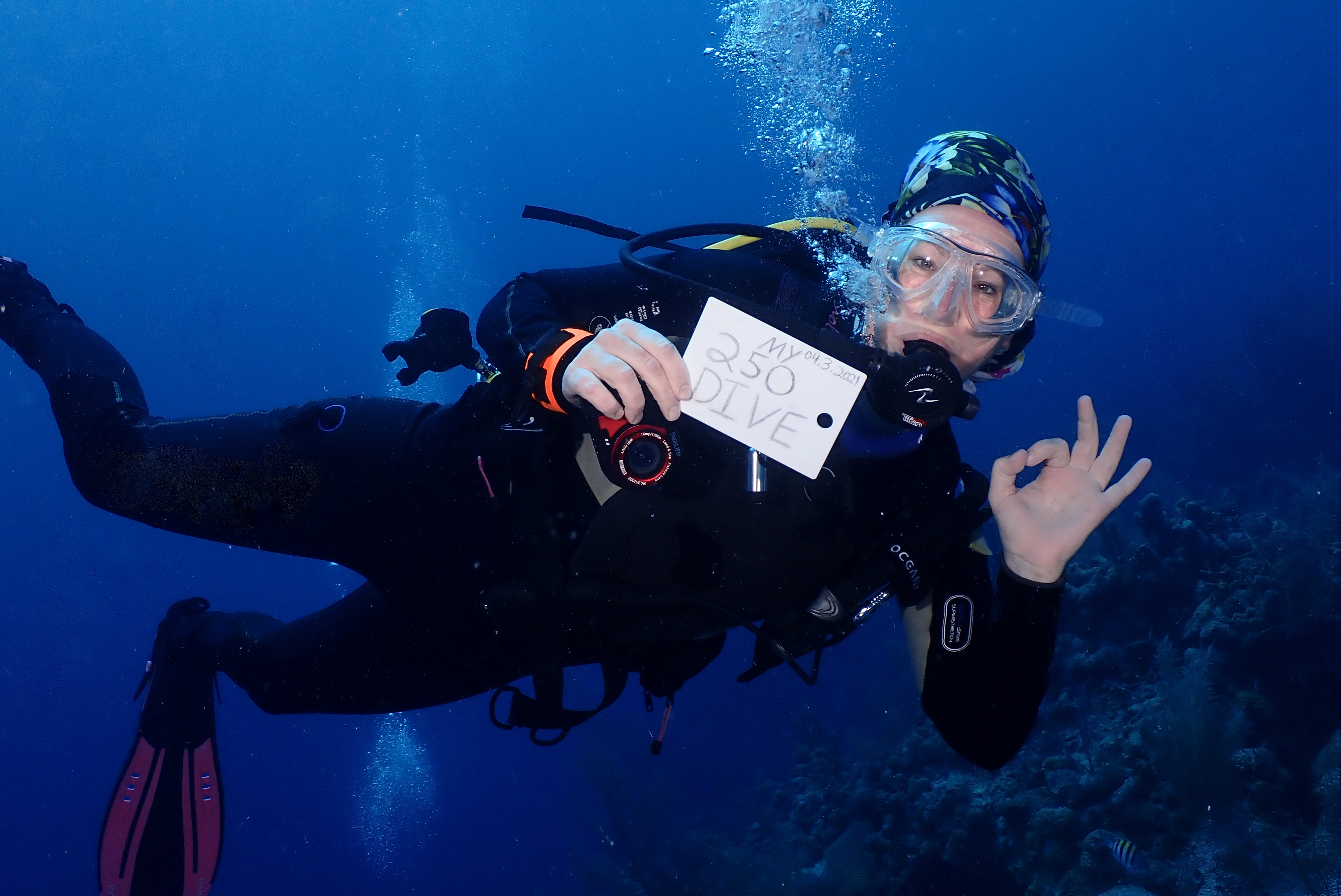 Belize Aggressor IV | Adventure Logs