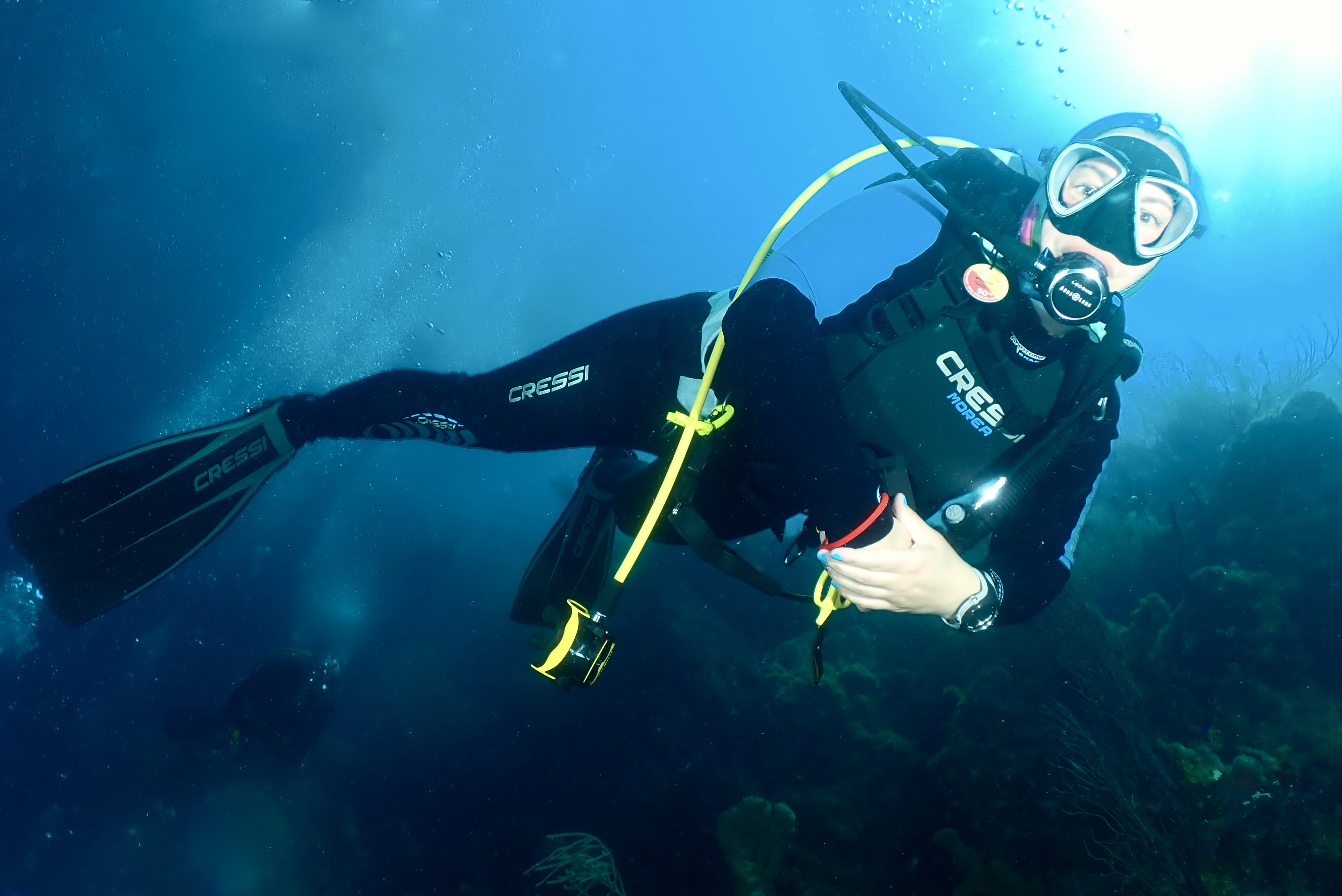 Belize Aggressor IV | Adventure Logs