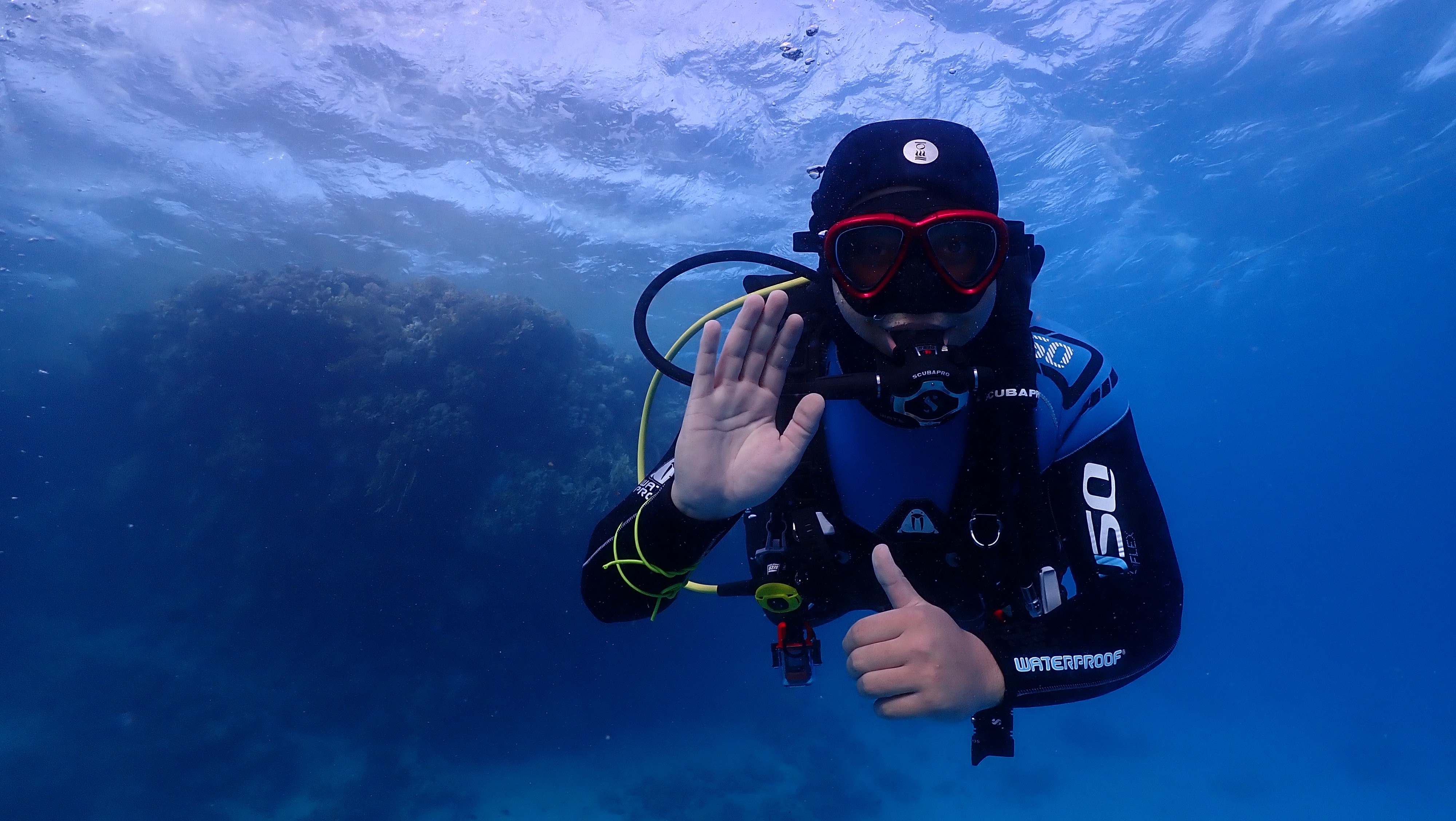 Red Sea Aggressor IV | Adventure Logs