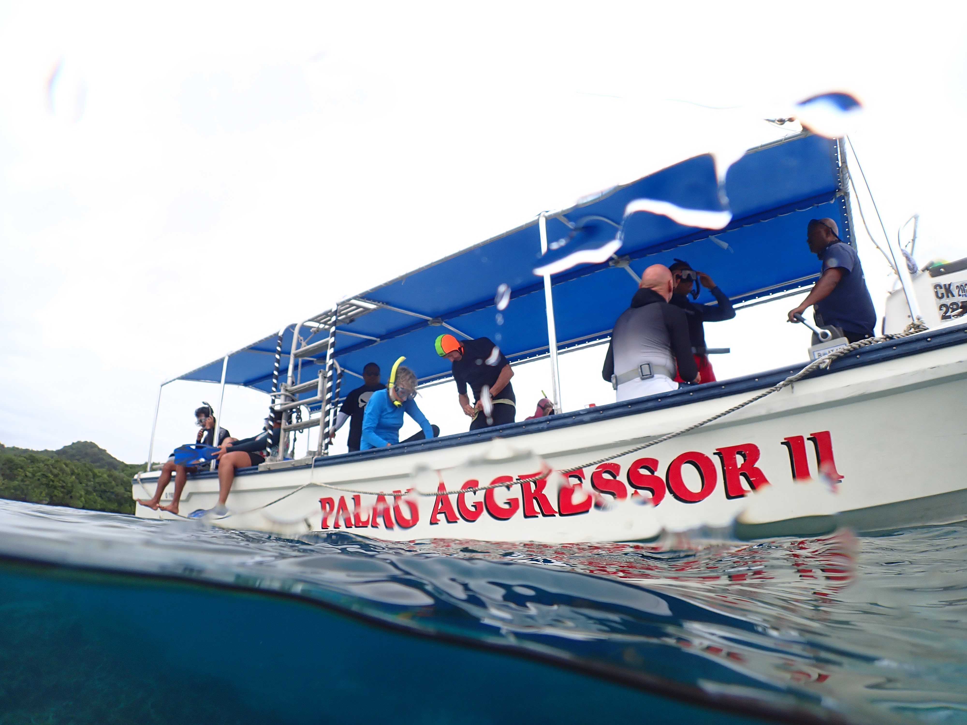Palau Aggressor II | Adventure Logs