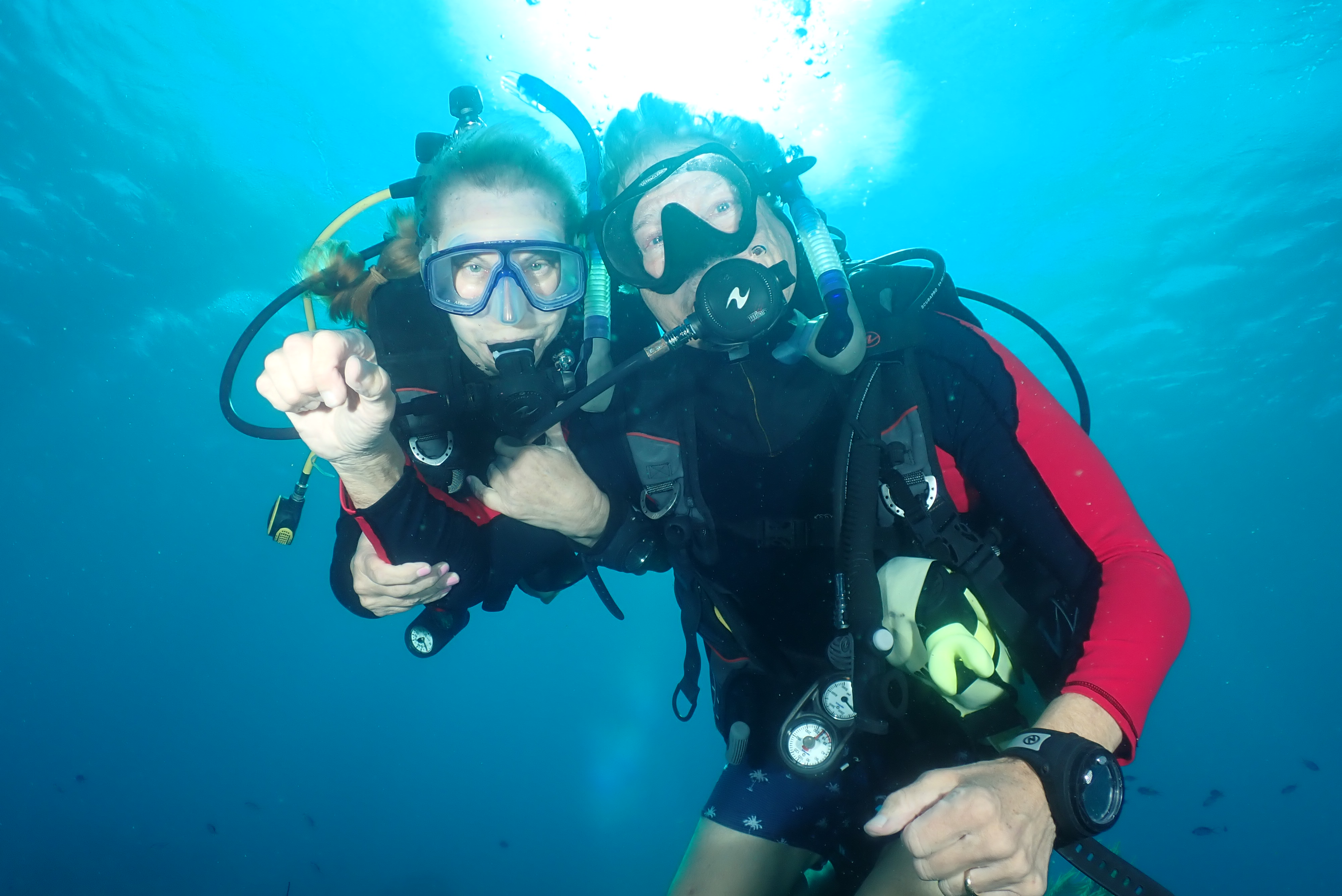 Belize Aggressor IV | Adventure Logs