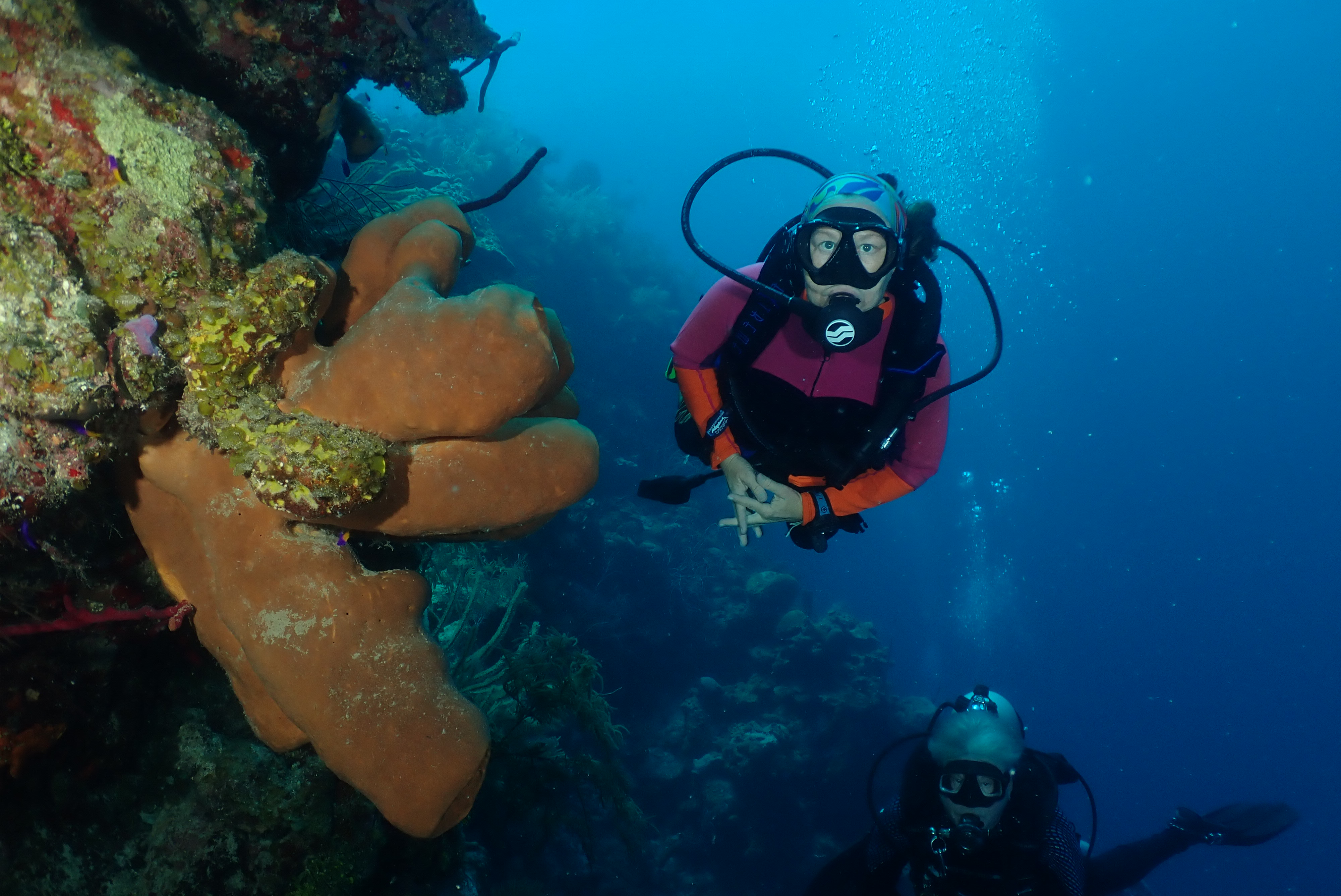 Belize Aggressor IV | Adventure Logs