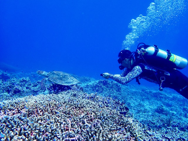 Philippines Aggressor | Adventure Logs