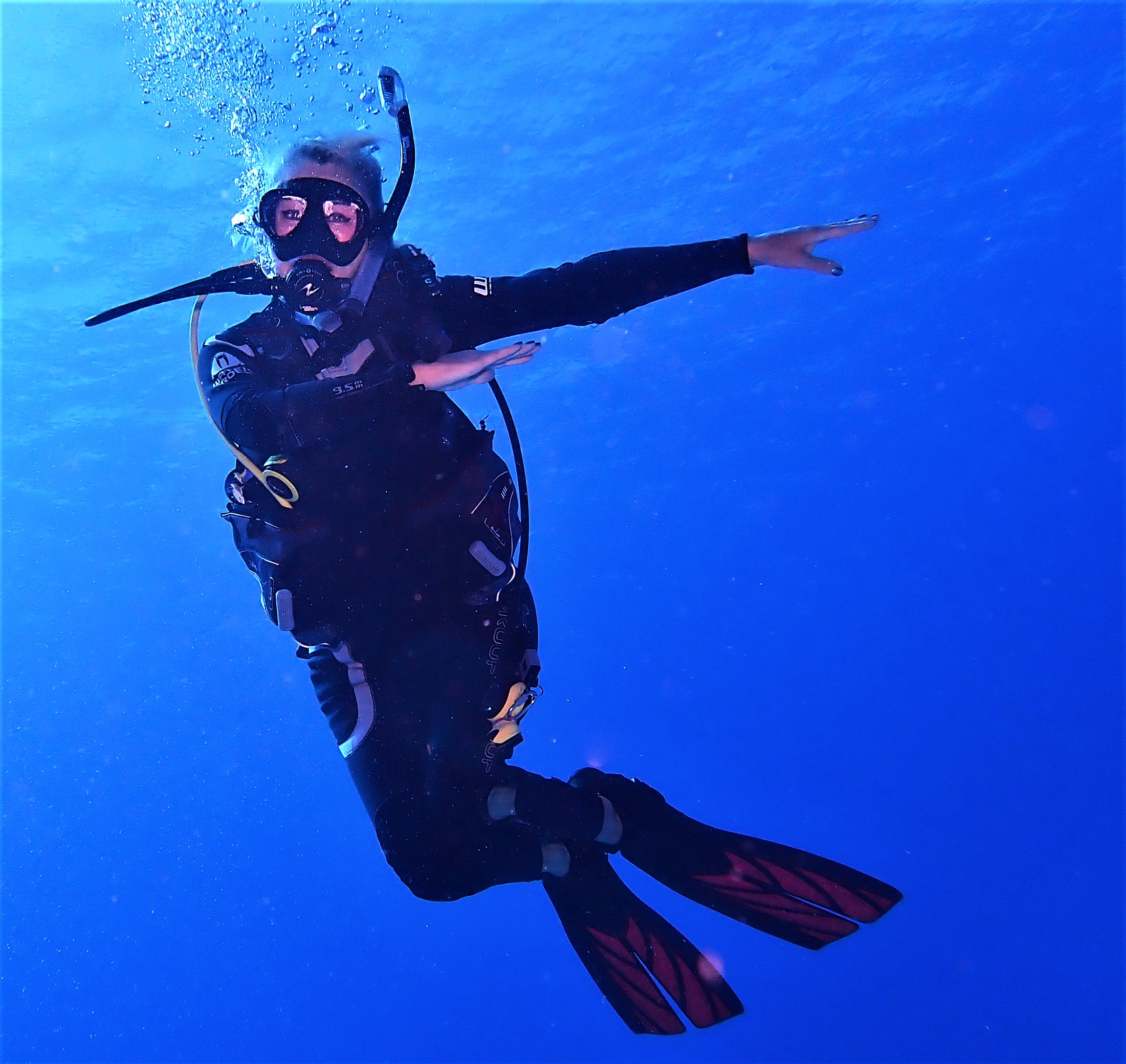 Turks & Caicos Aggressor II | Adventure Logs