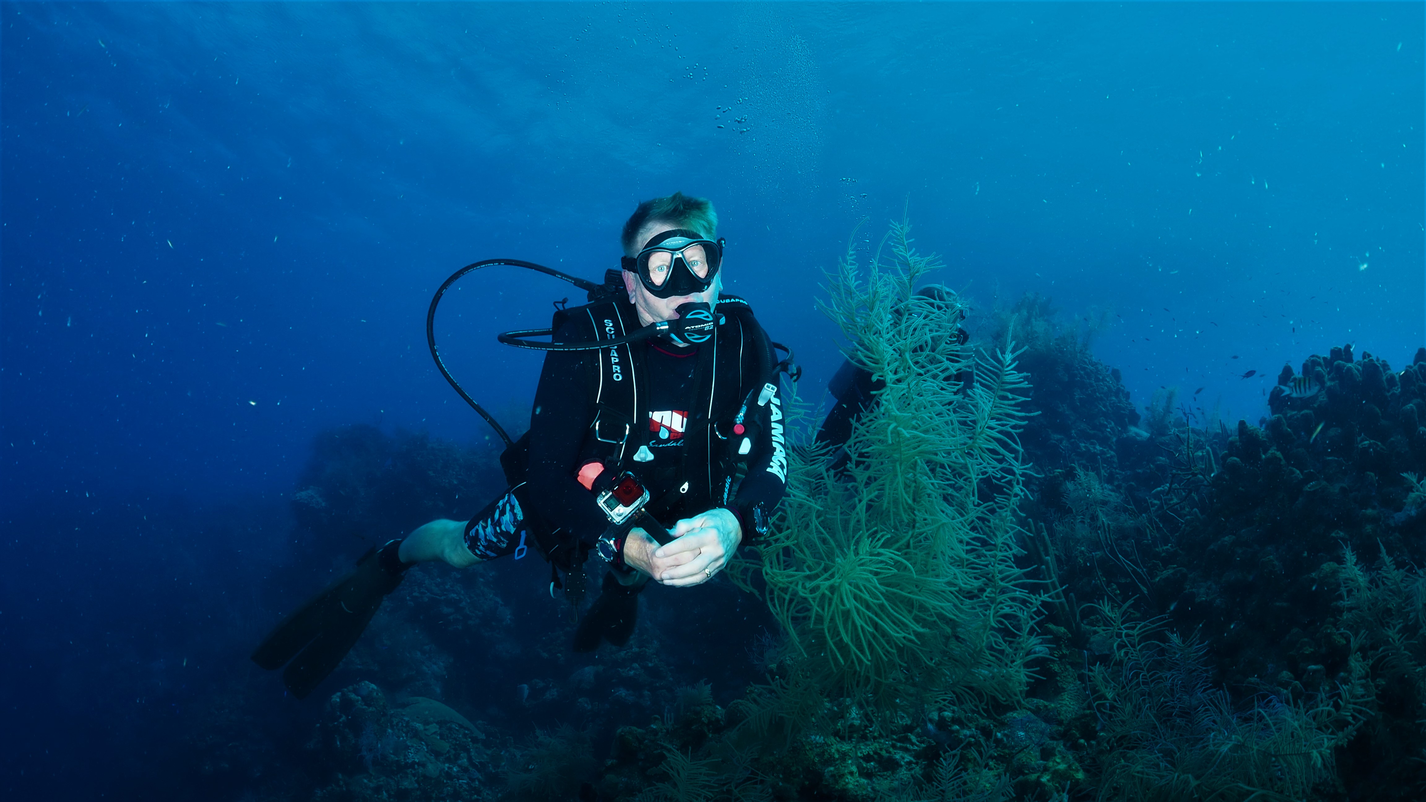 Belize Aggressor IV | Adventure Logs