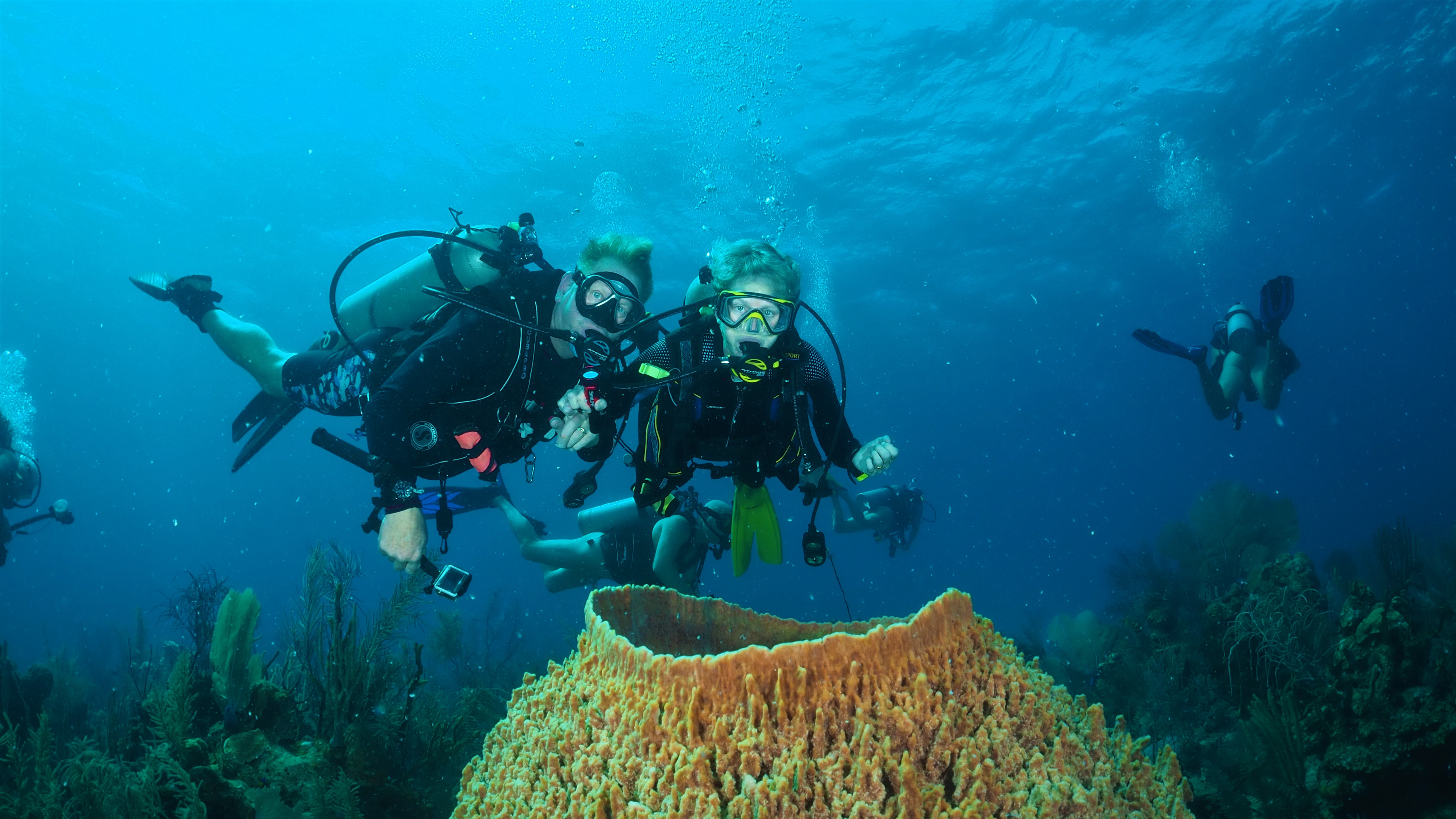 Belize Aggressor IV | Adventure Logs