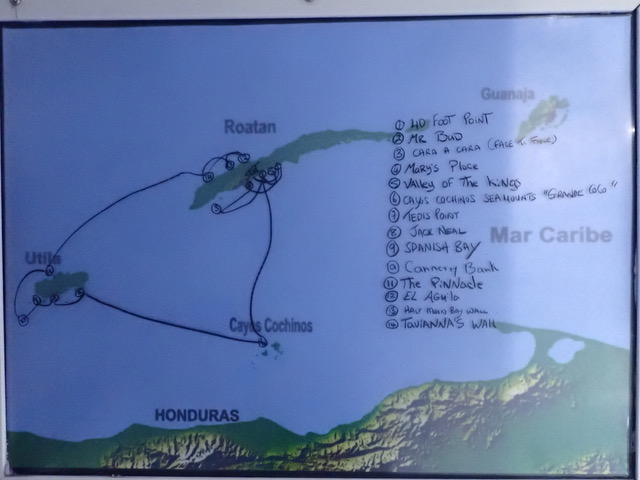 Roatan Aggressor | Adventure Logs