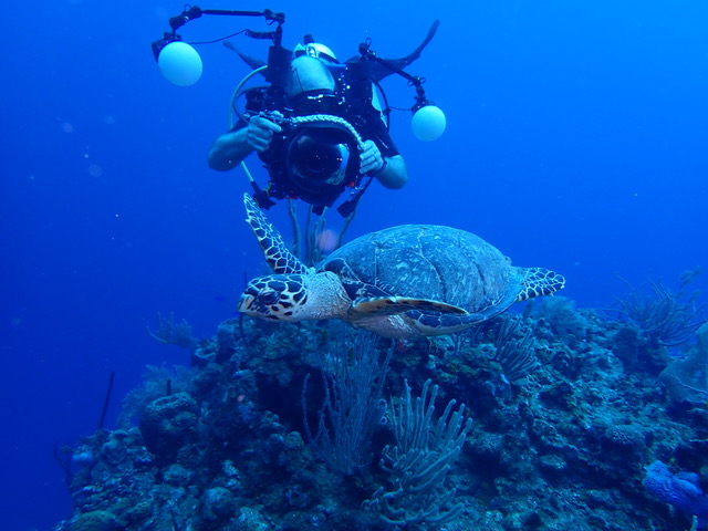 Roatan Aggressor | Adventure Logs