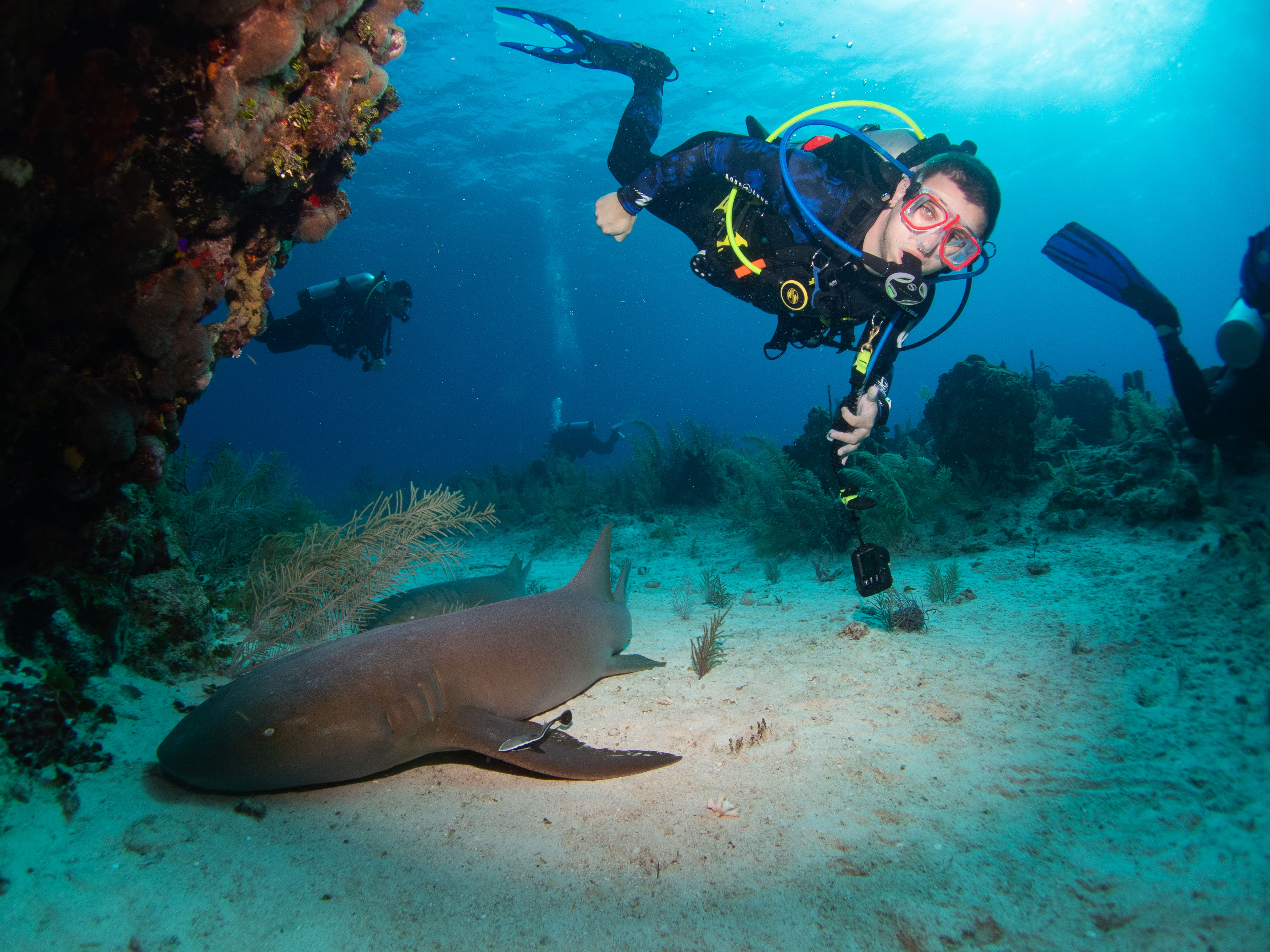 Turks & Caicos Aggressor II | Adventure Logs