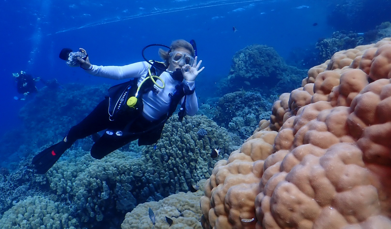 Red Sea Aggressor IV | Adventure Logs