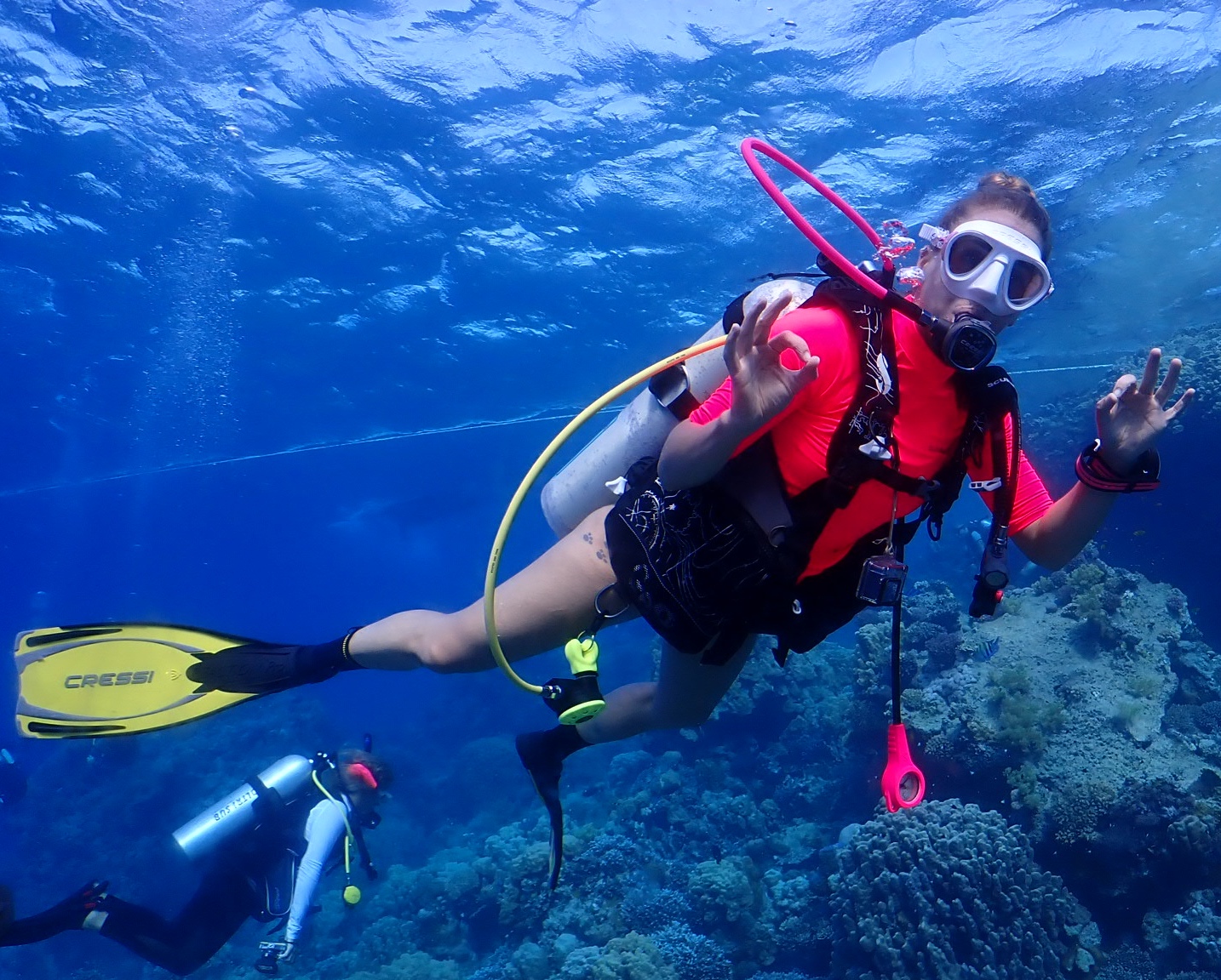 Red Sea Aggressor IV | Adventure Logs