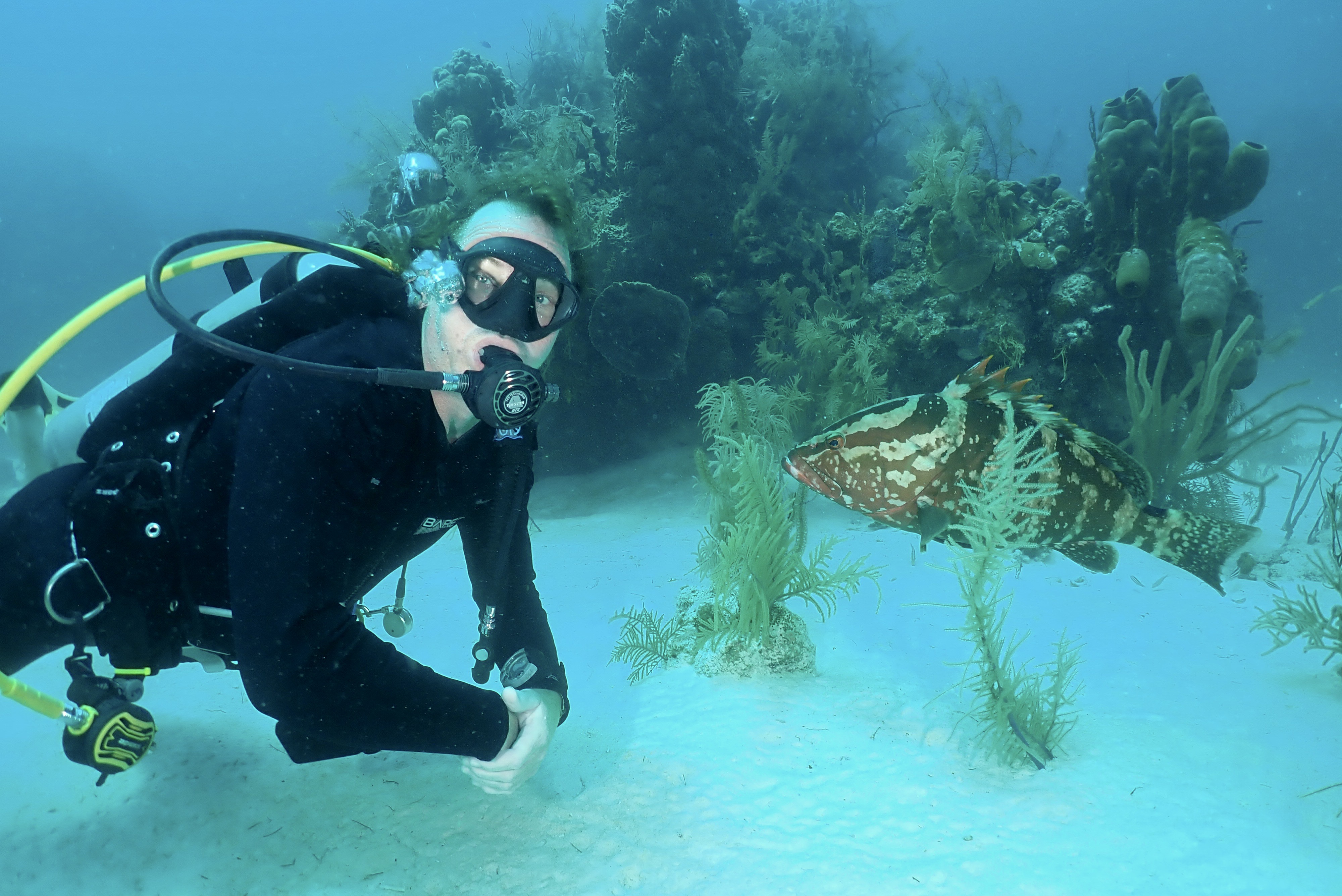 Belize Aggressor IV | Adventure Logs