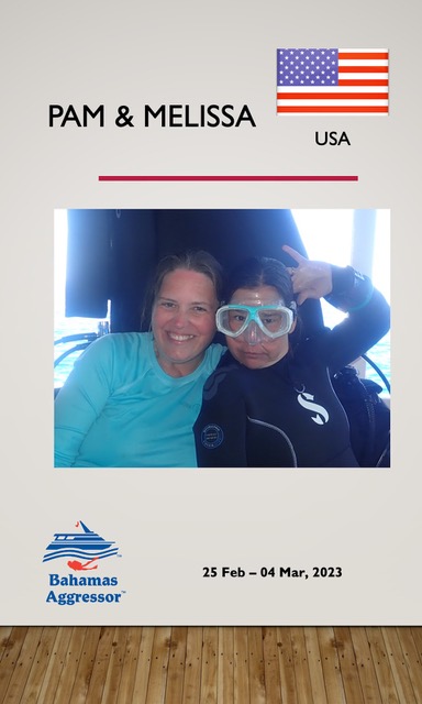 Bahamas Aggressor | Adventure Logs