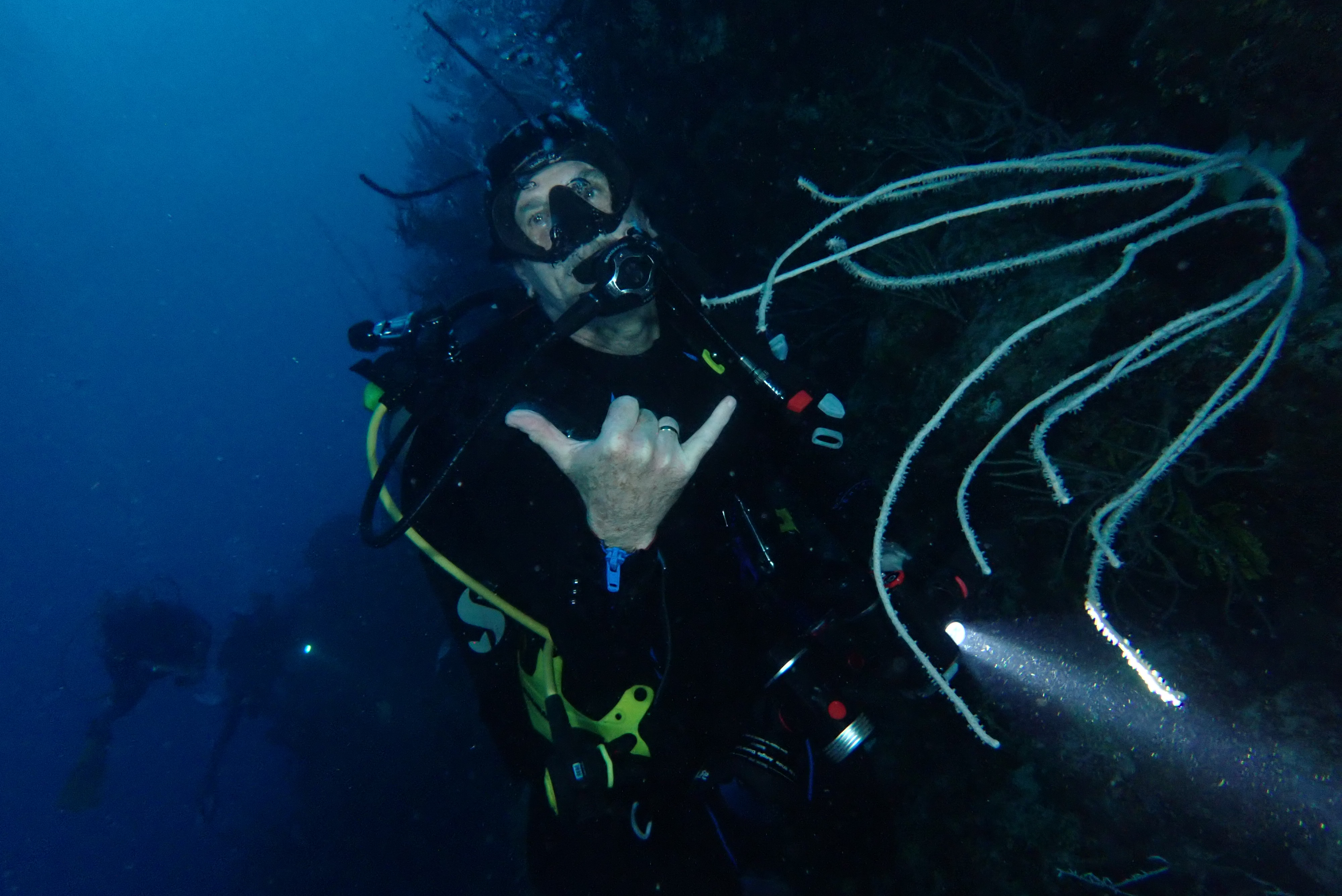 Belize Aggressor IV | Adventure Logs