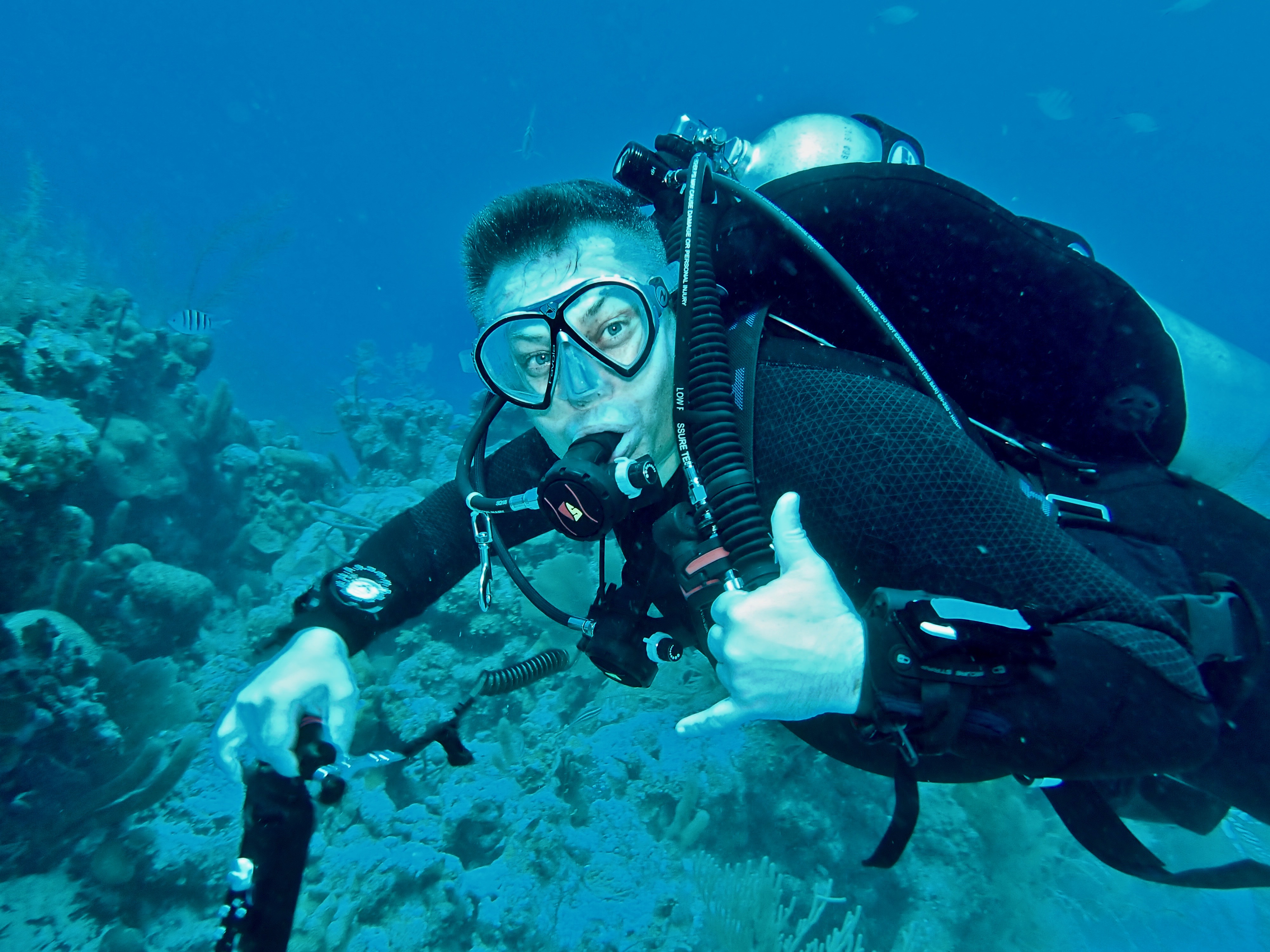 Belize Aggressor IV | Adventure Logs