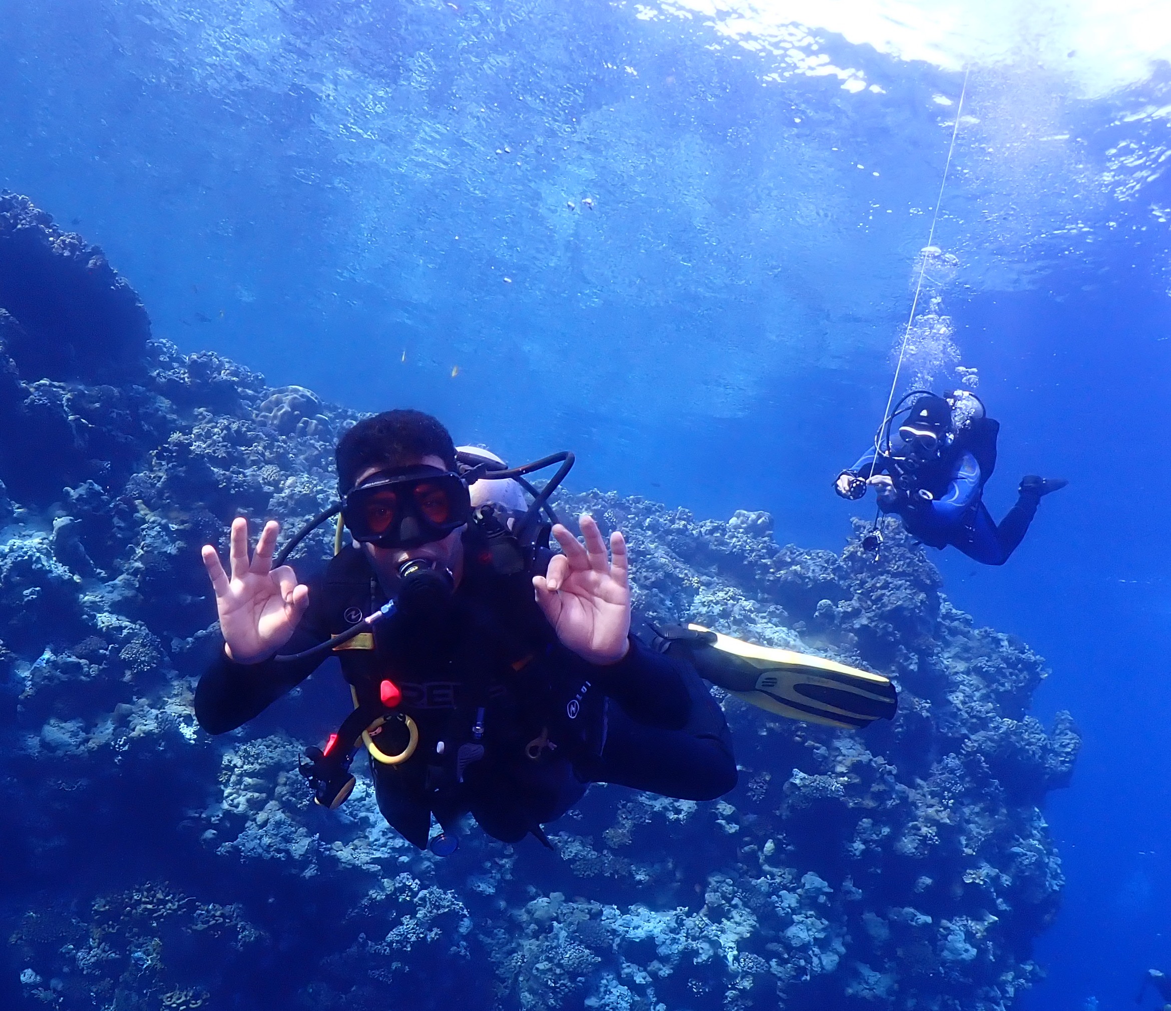 Red Sea Aggressor IV | Adventure Logs