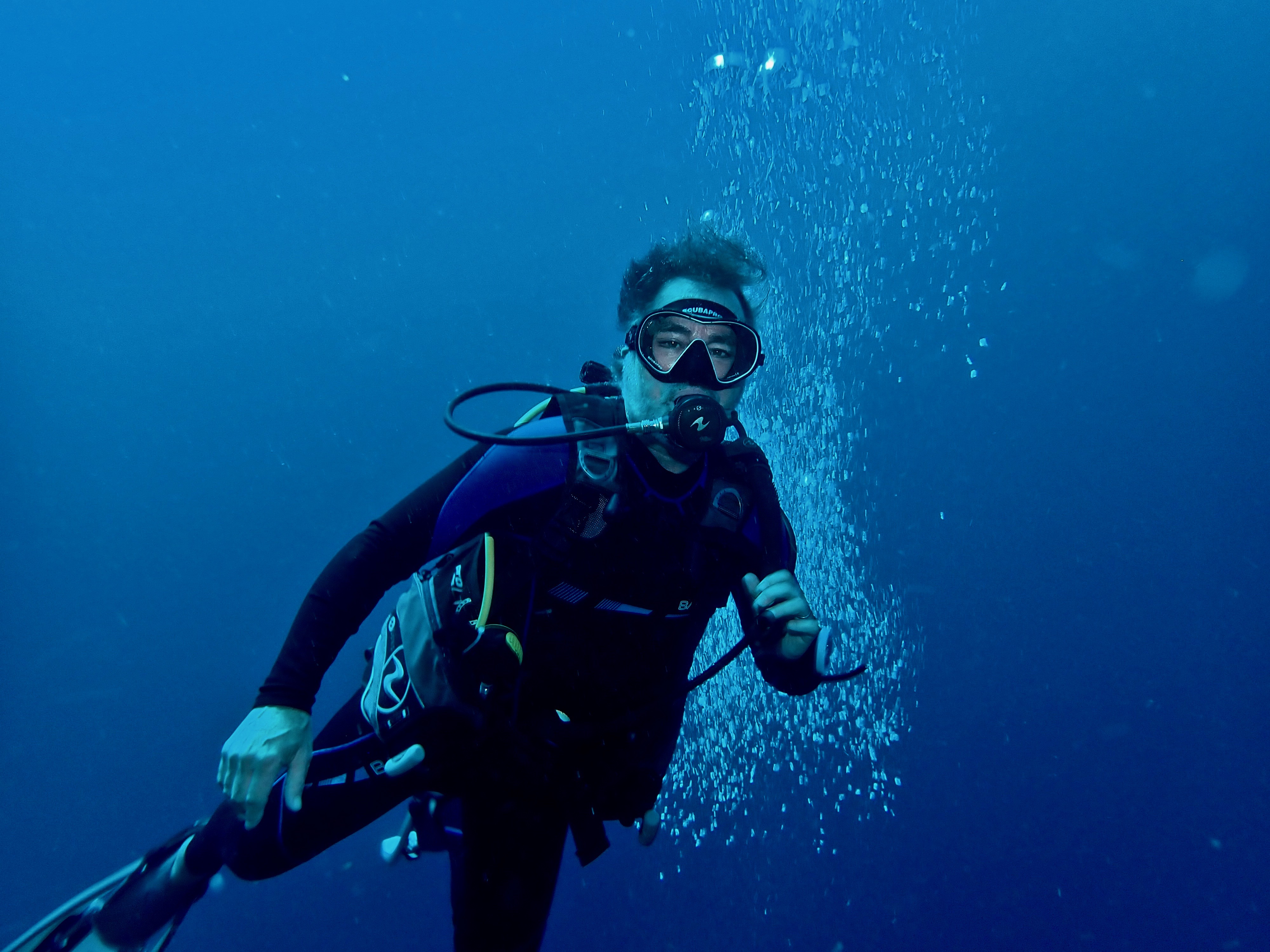 Belize Aggressor IV | Adventure Logs