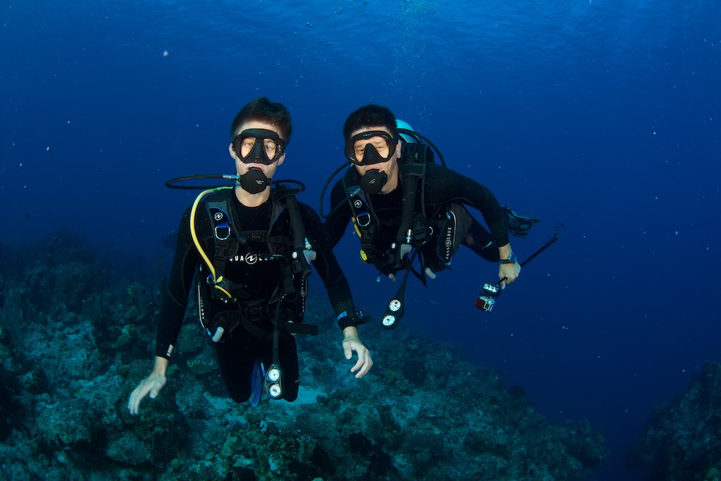 Turks & Caicos Aggressor II | Adventure Logs