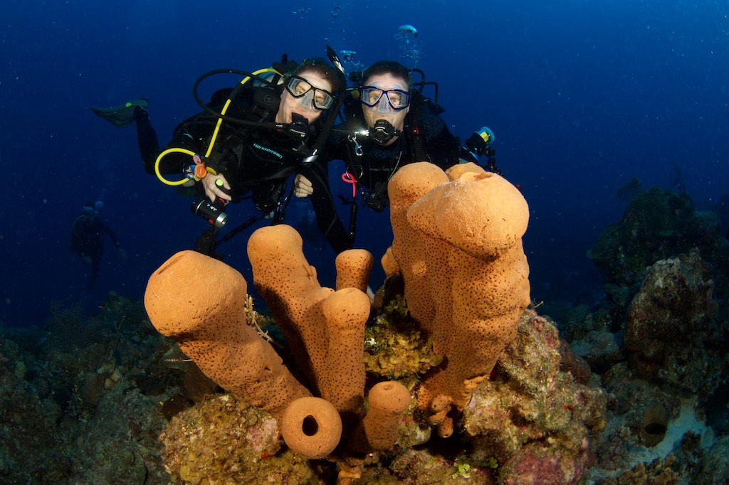 Turks & Caicos Aggressor II | Adventure Logs