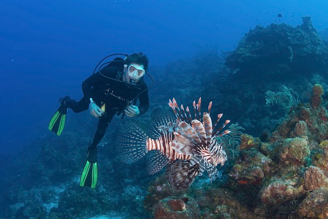 Turks & Caicos Aggressor II | Adventure Logs