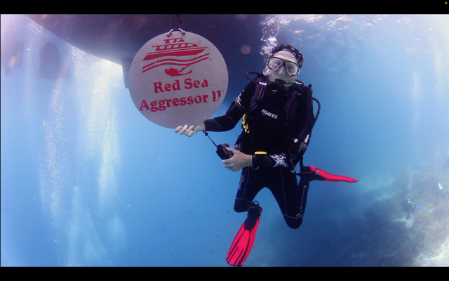 Red Sea Aggressor II | Adventure Logs