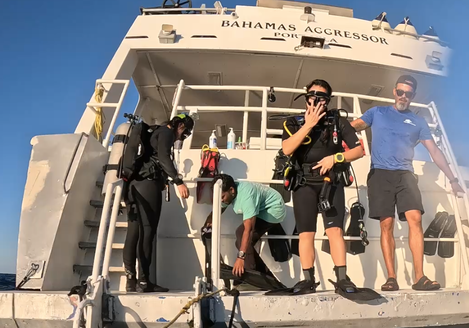 Bahamas Aggressor I | Adventure Logs